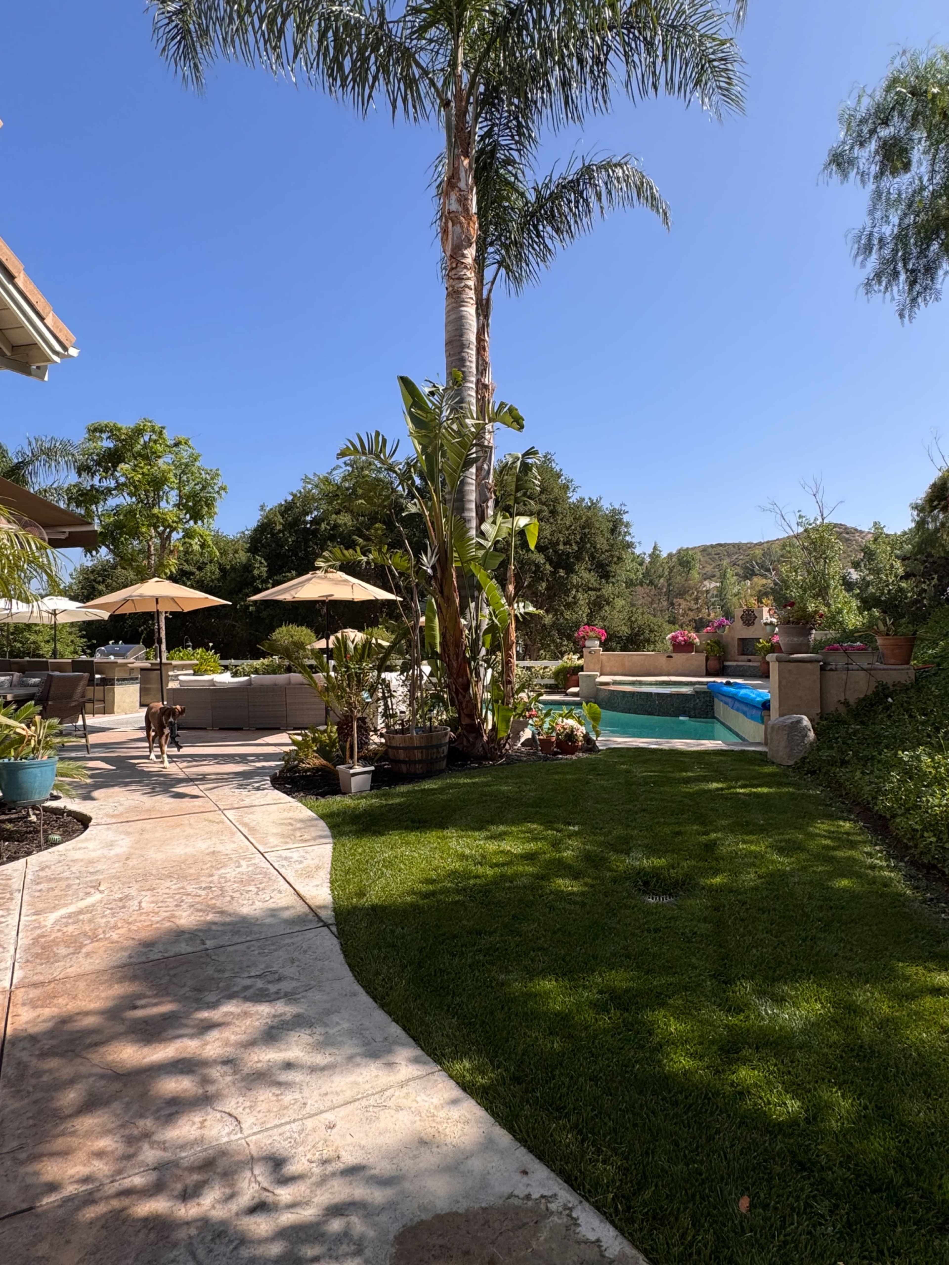 Pool oasis with private nature park, Santa Clarita, CA | Event | Peerspace