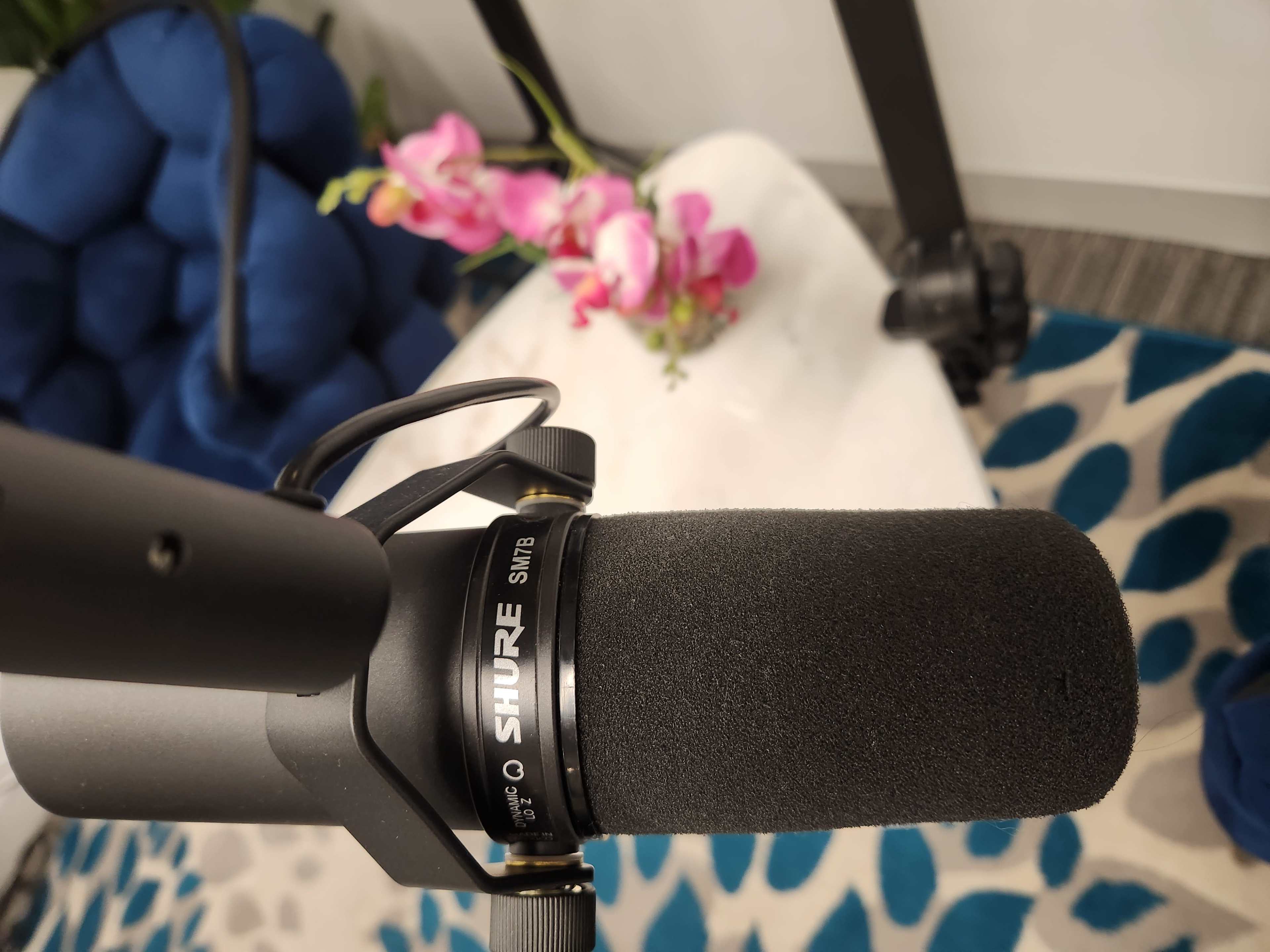 Podcast Studio with Joe Rogen's like equipment, BEVERLY HILLS, CA ...