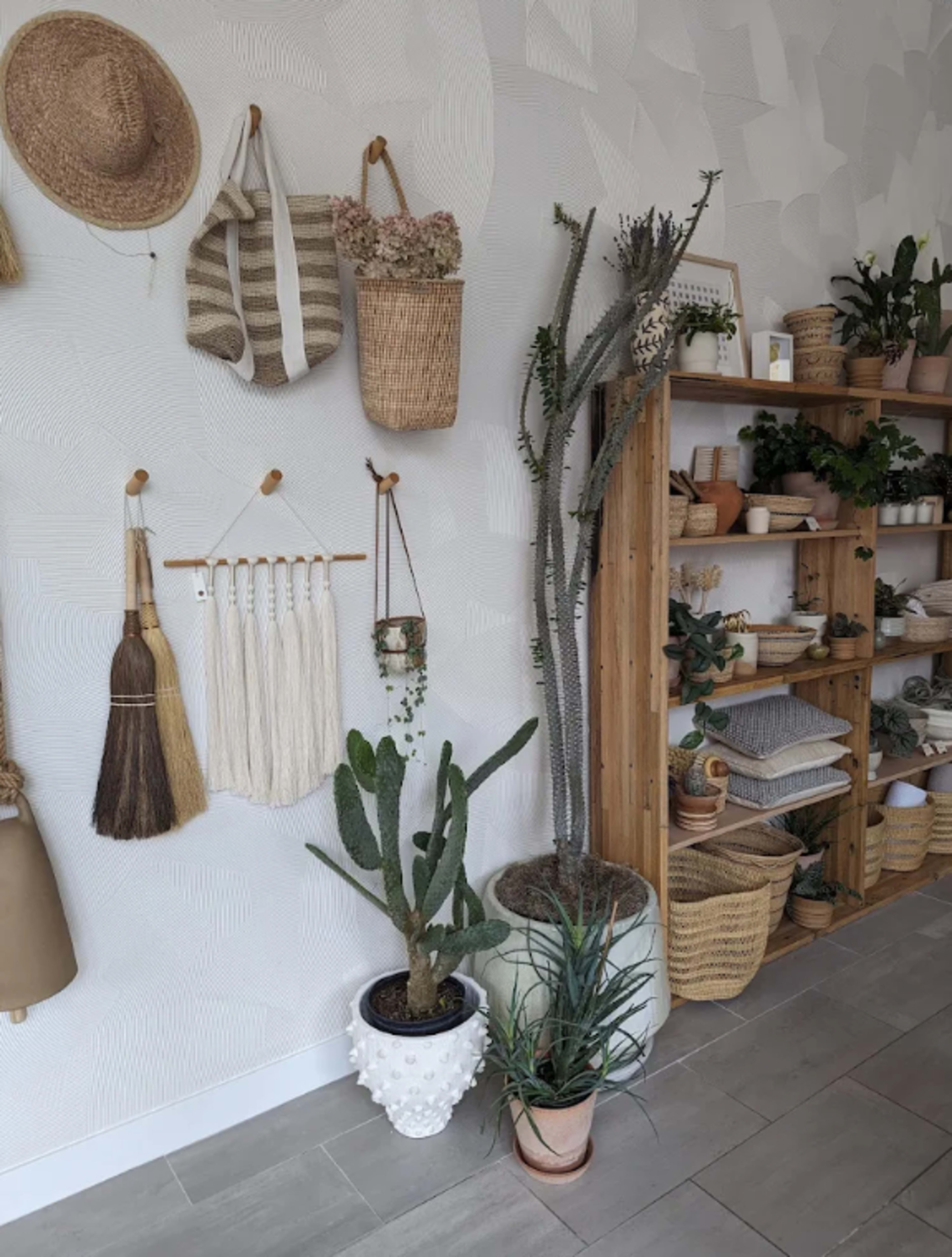 Wilderhouse | Warm and relaxing retail space with neutral vibes ...