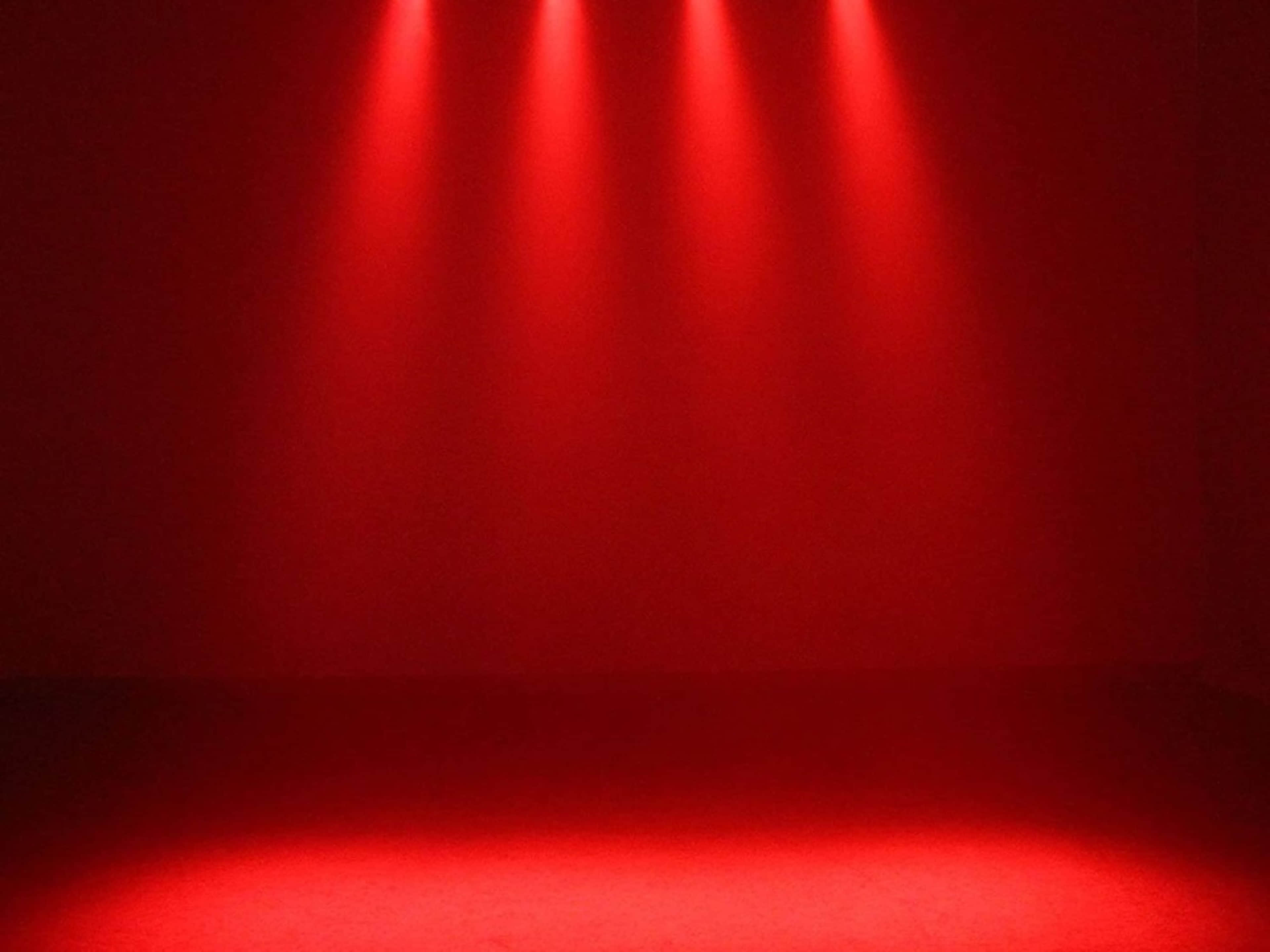 Eccentric Bushwick Bar/Venue with Distinctive Decor, Lighting, and In ...