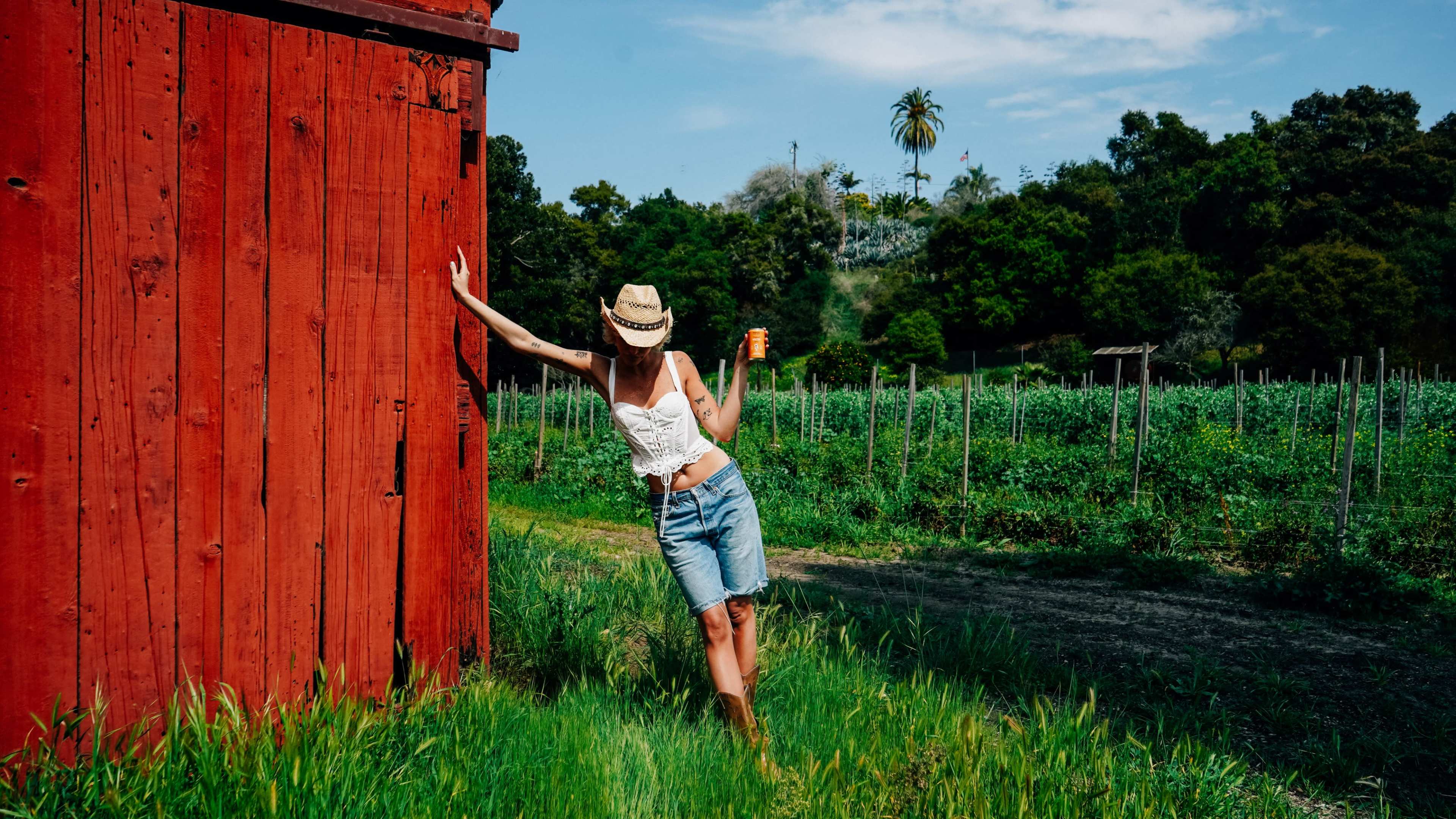 Rad Ranch | The Rad Ranch. Goleta the Goodland, California, Goleta, CA ...