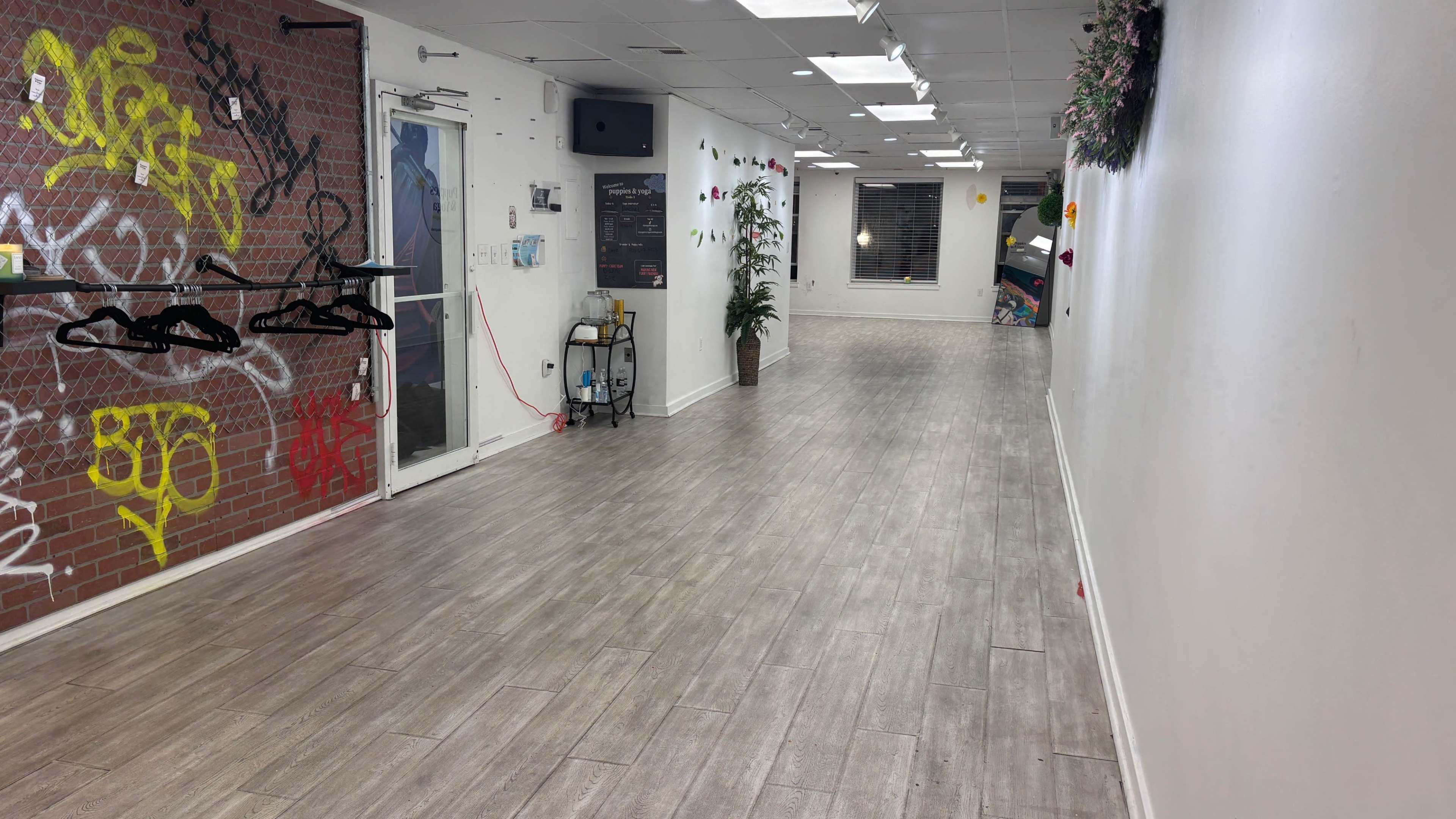 Multipurpose Bright Artsy studio with Graffiti Walls in Adams Morgan ...