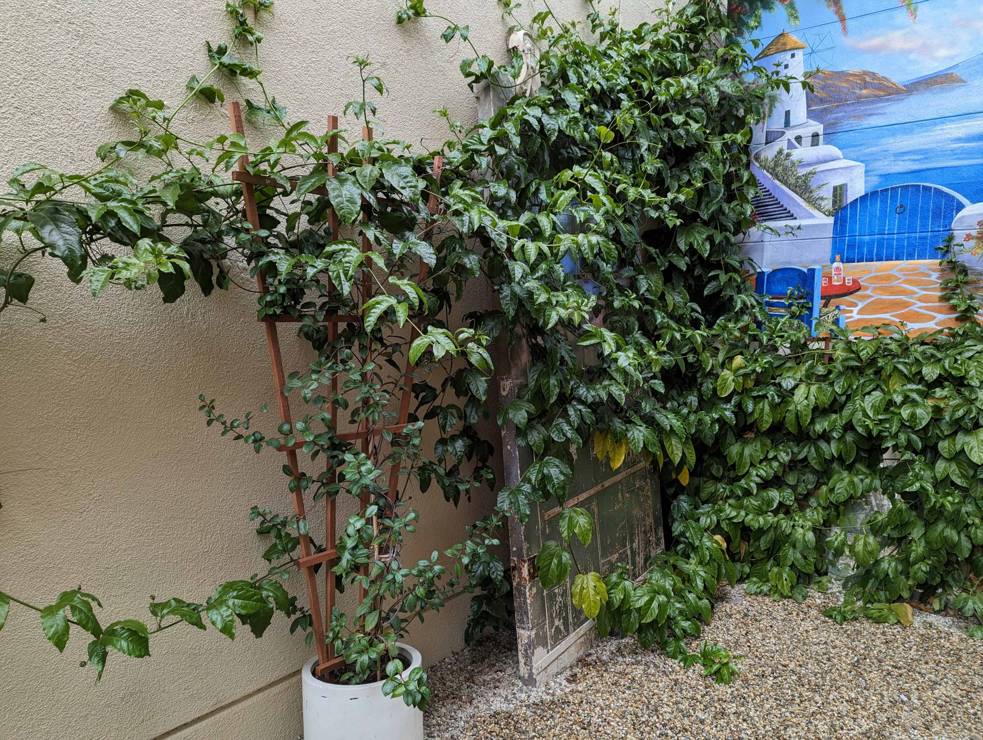 Unique, multi-faceted outdoor space perfect for photo or video shoots ...