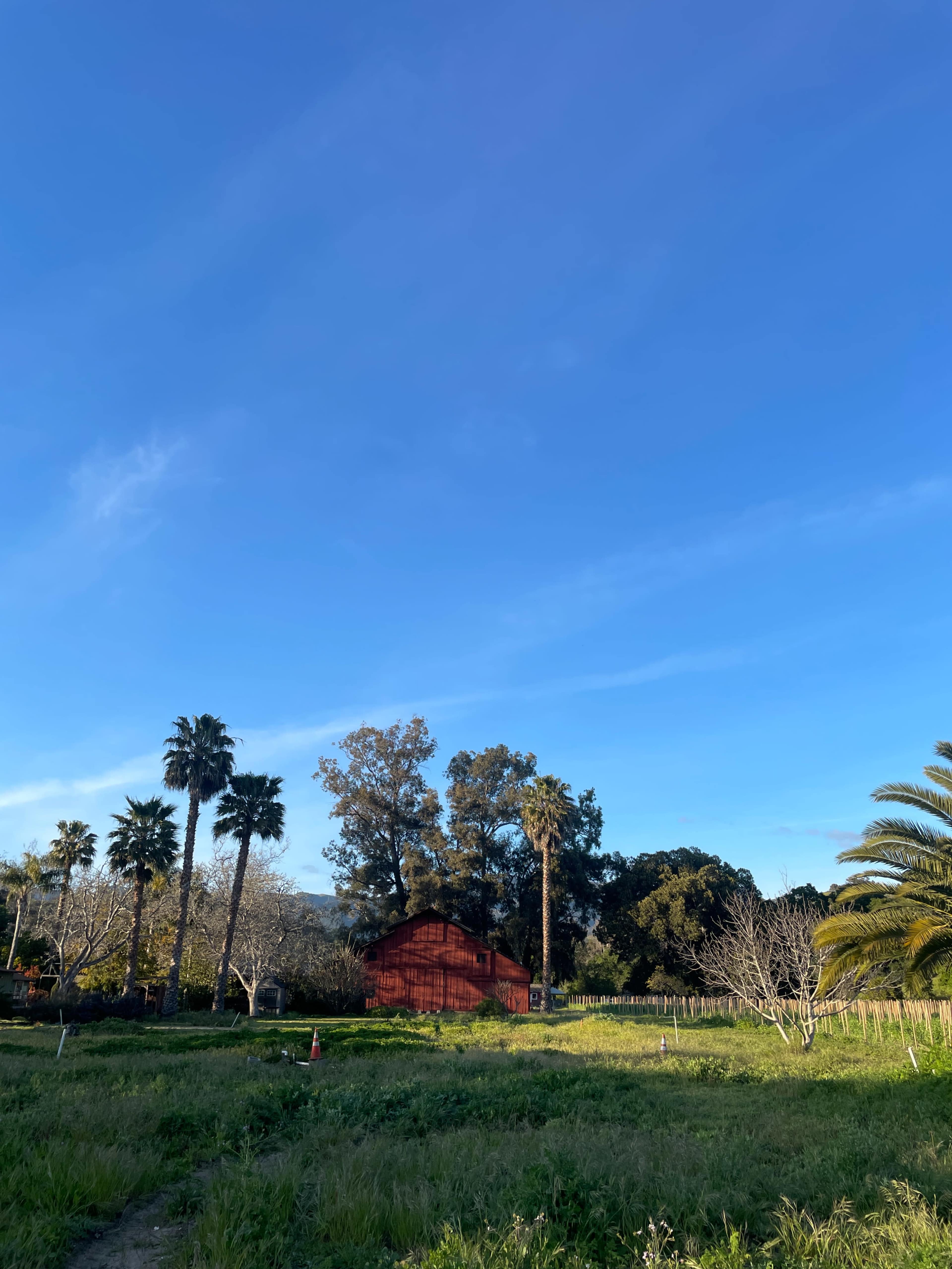 Rad Ranch | The Rad Ranch. Goleta the Goodland, California, Goleta, CA ...