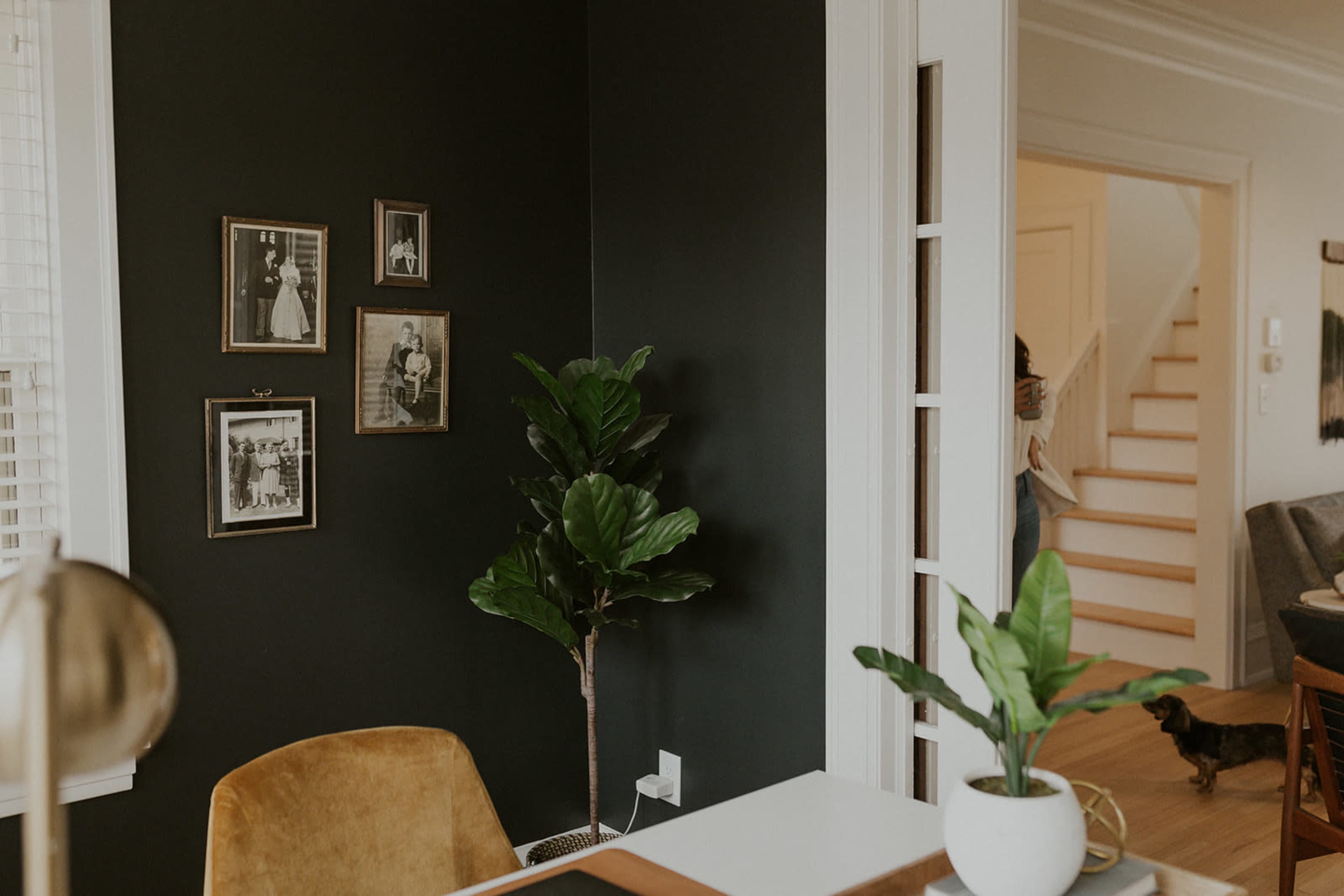 Urban Tangletown 2-Story Home, Minneapolis, MN | Production | Peerspace