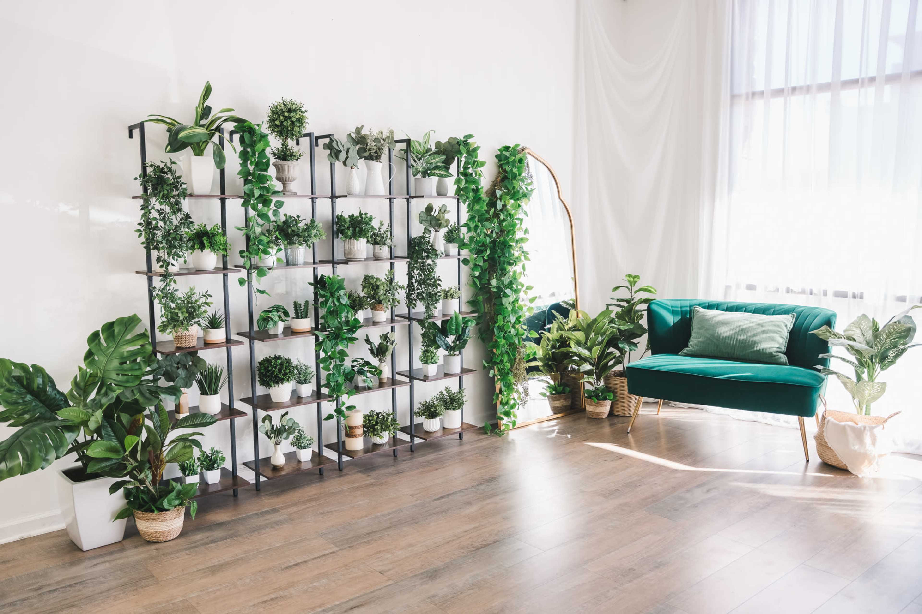 Vision Studio | Fully-Equipped Photo Studio, Peoria, AZ | Production ...