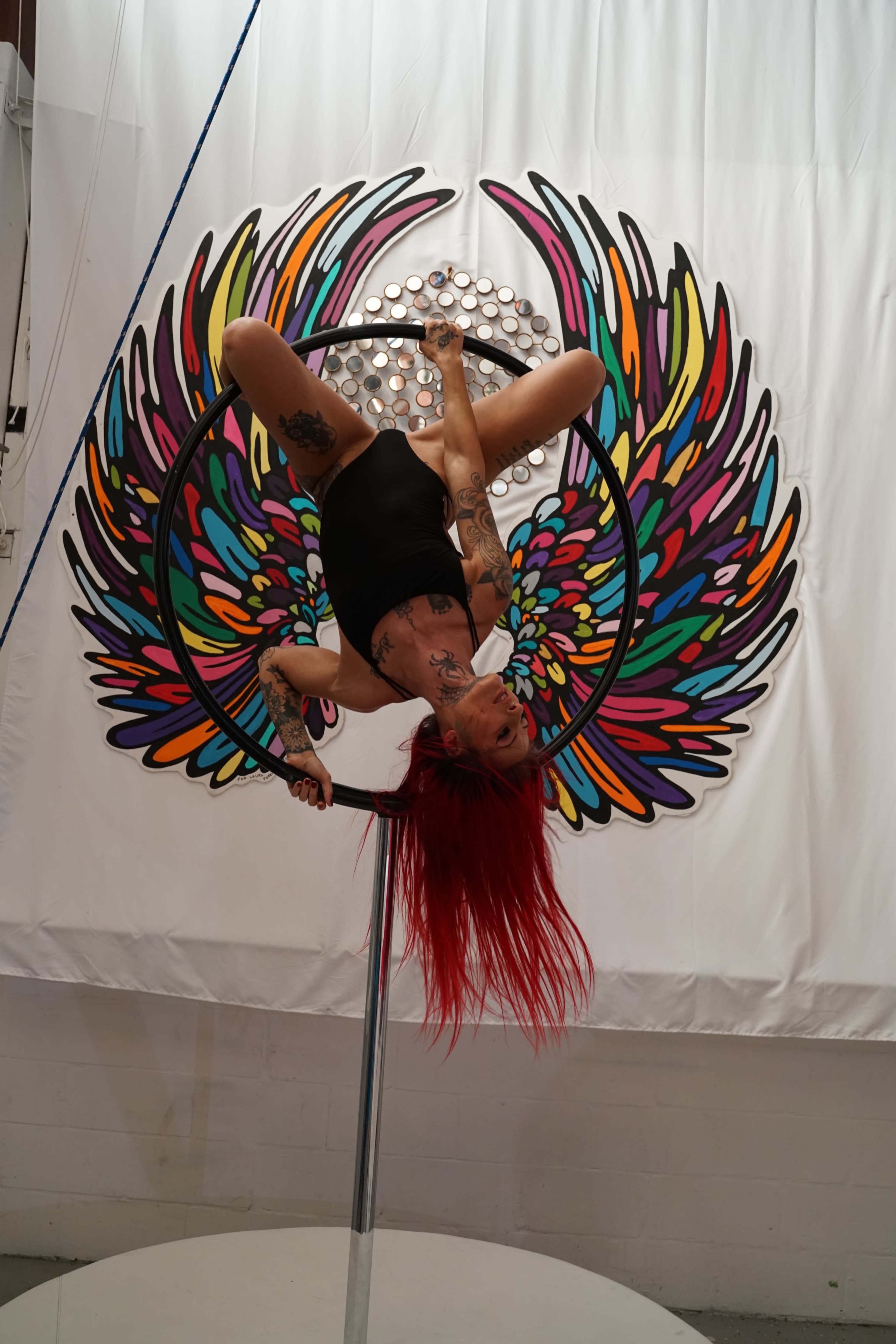 Aerial Athelte St. Aug. Studio | Custom Hand painted Wings with rigging ...