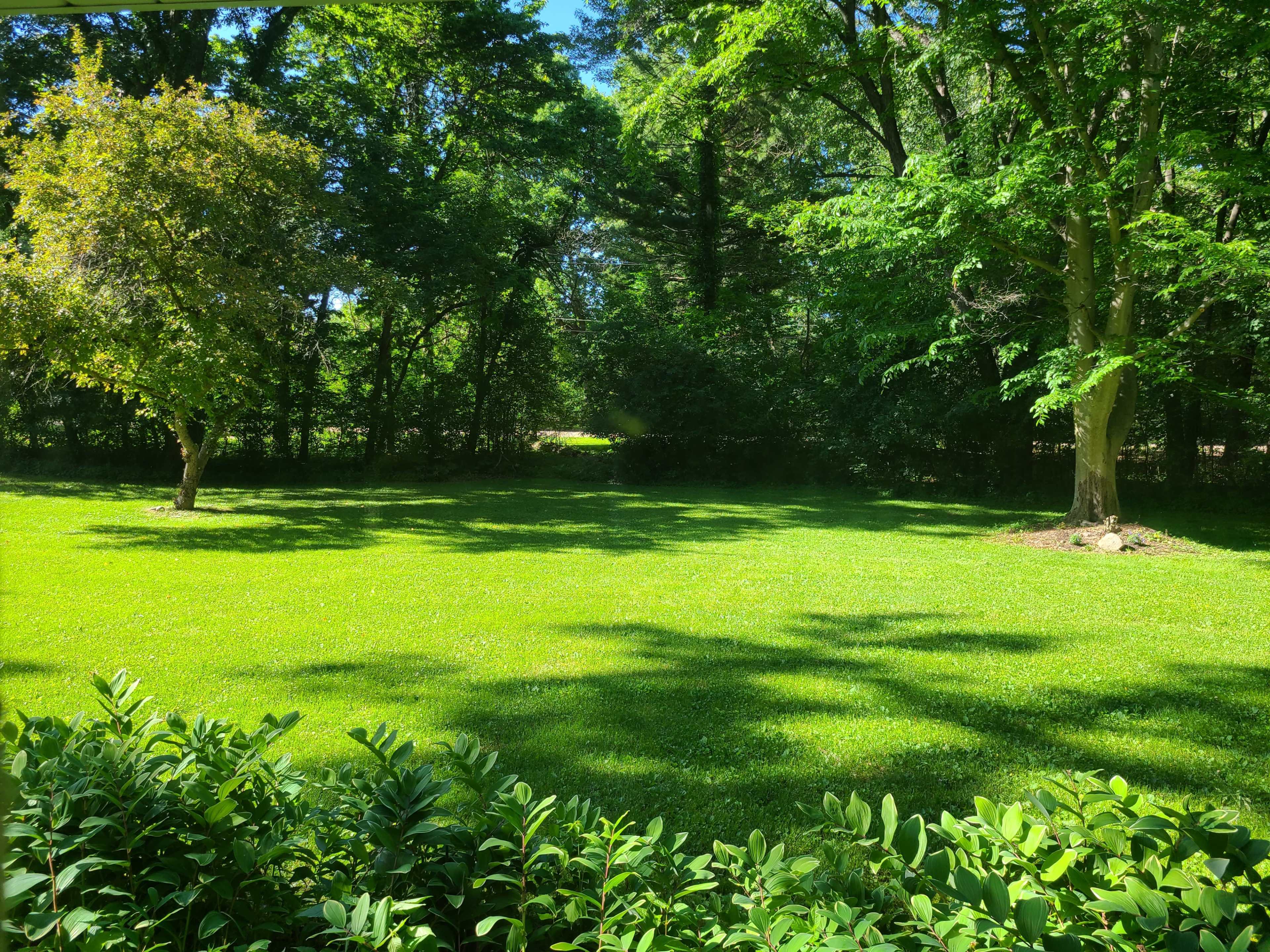 Four-Season Suburban Forest Photo Shoot site, Farmington hills, MI ...