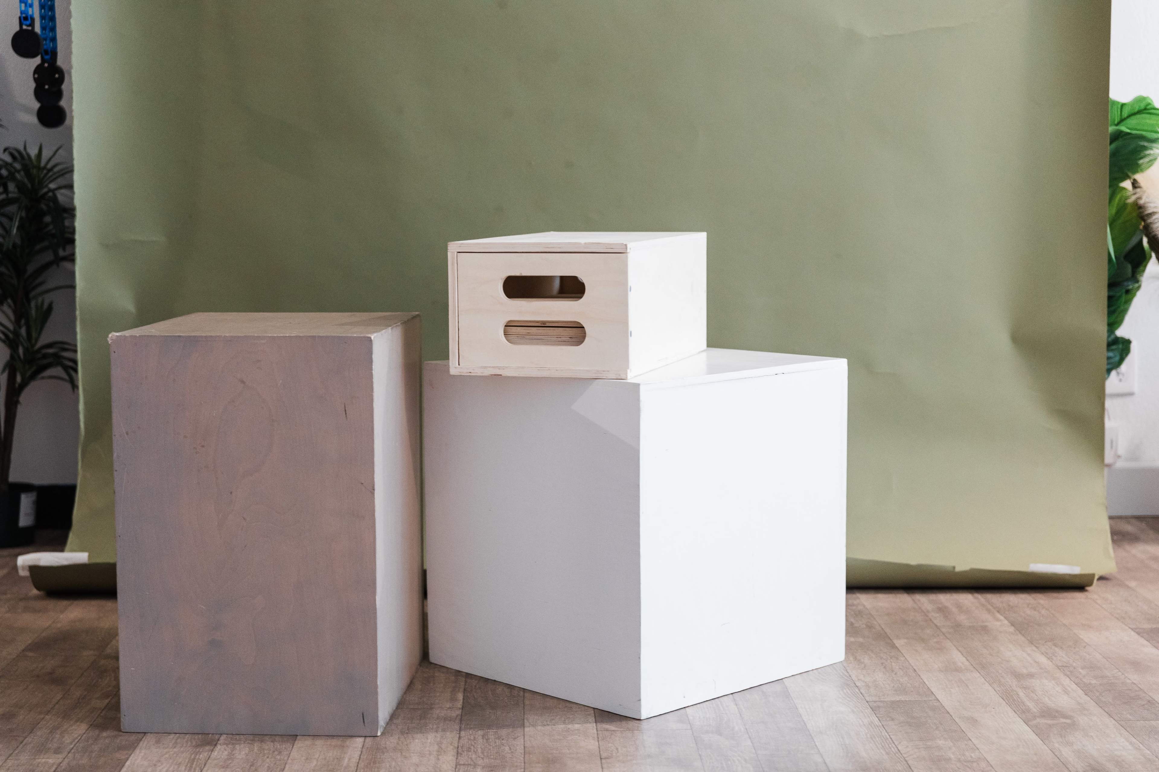 Sonja Stafford Photography | Chic Natural Light Studio on Main ...