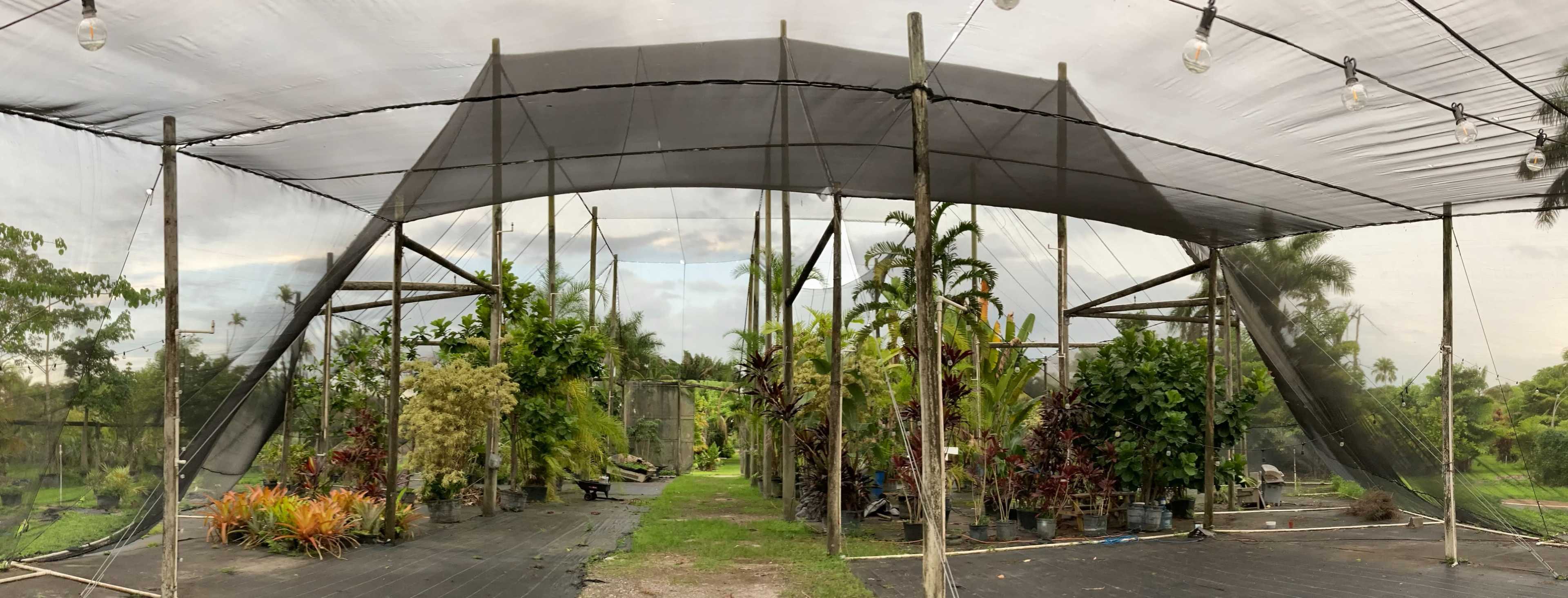 6 Acre Composting Farm, Tree Nursery, and 40ft Shade House, Homestead ...