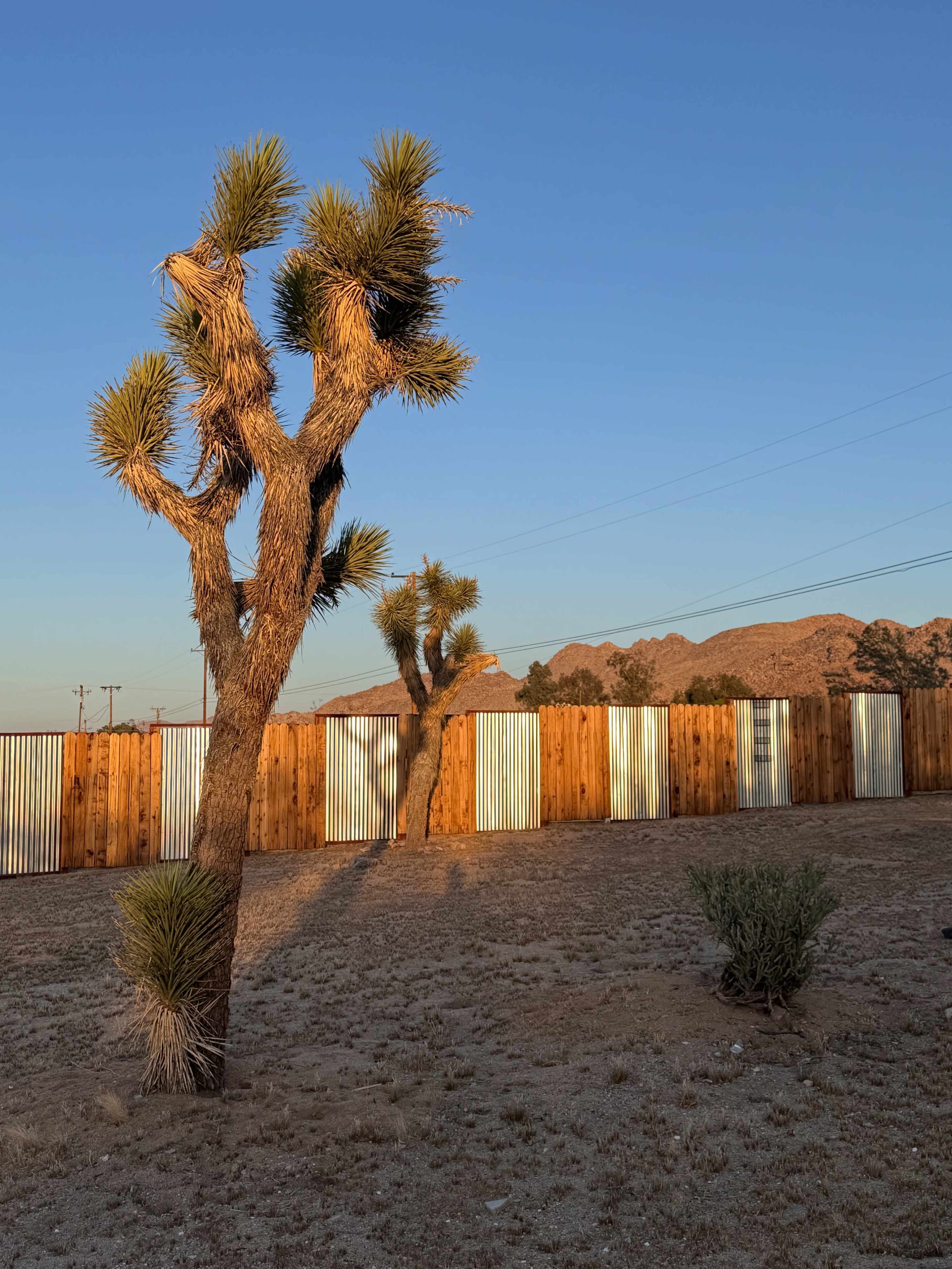Joshua Tree Ranch House Motel | Vintage Old West California Ranch style ...