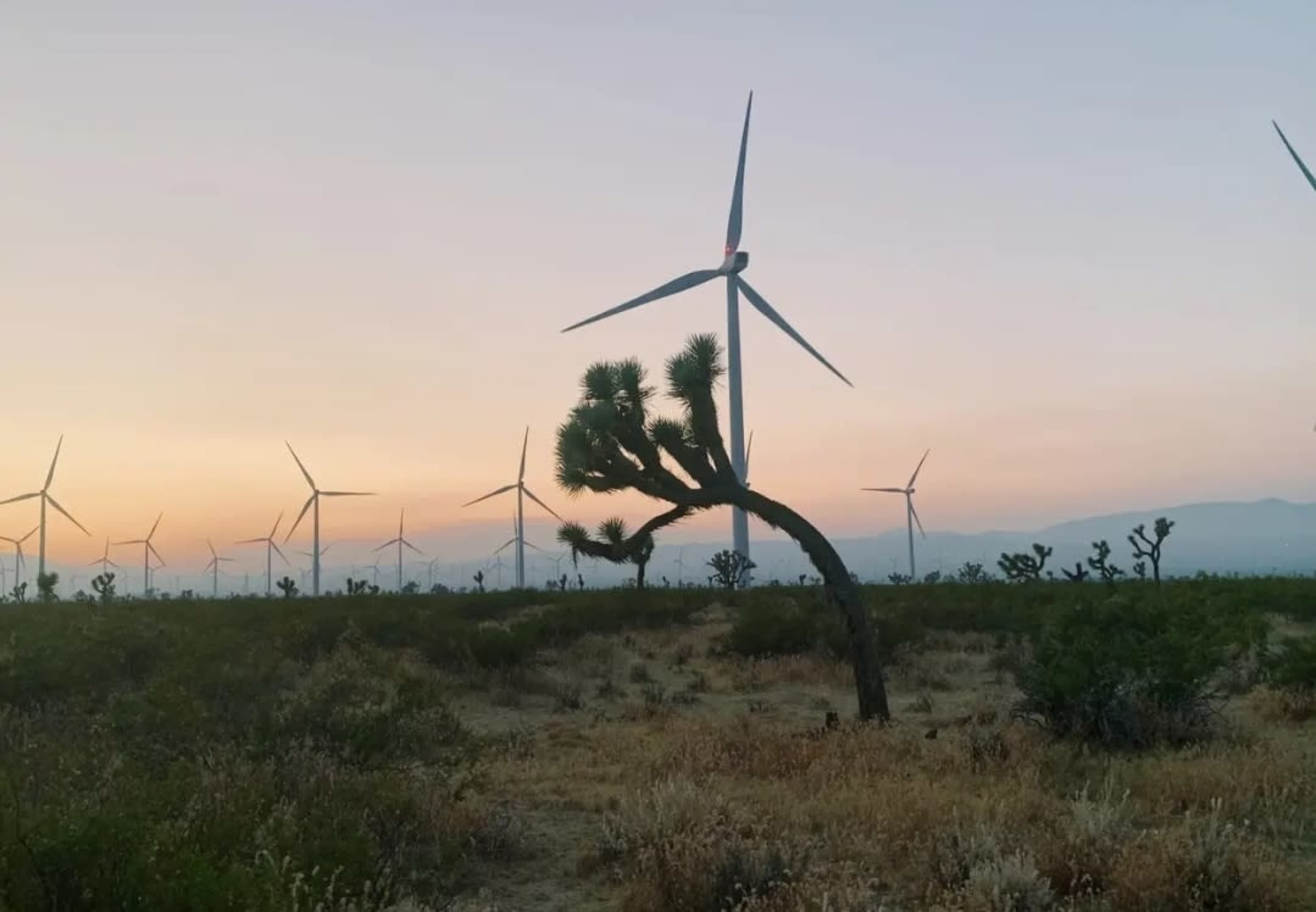 Wind Mill Farm Mojave | Wind Turbines in the Desert - 80min drive from ...
