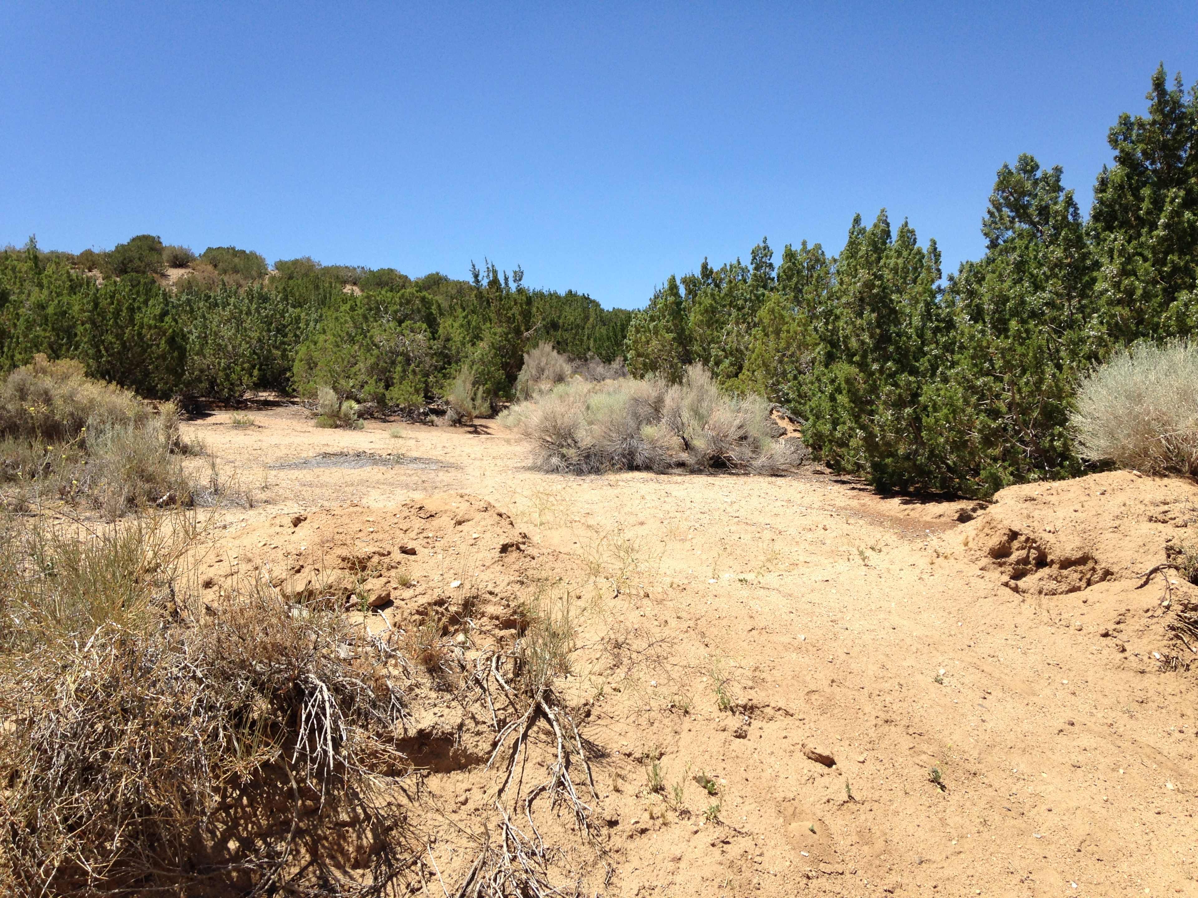 Classic Western Desert Land w/Joshua Trees, Palmdale, CA | Production ...