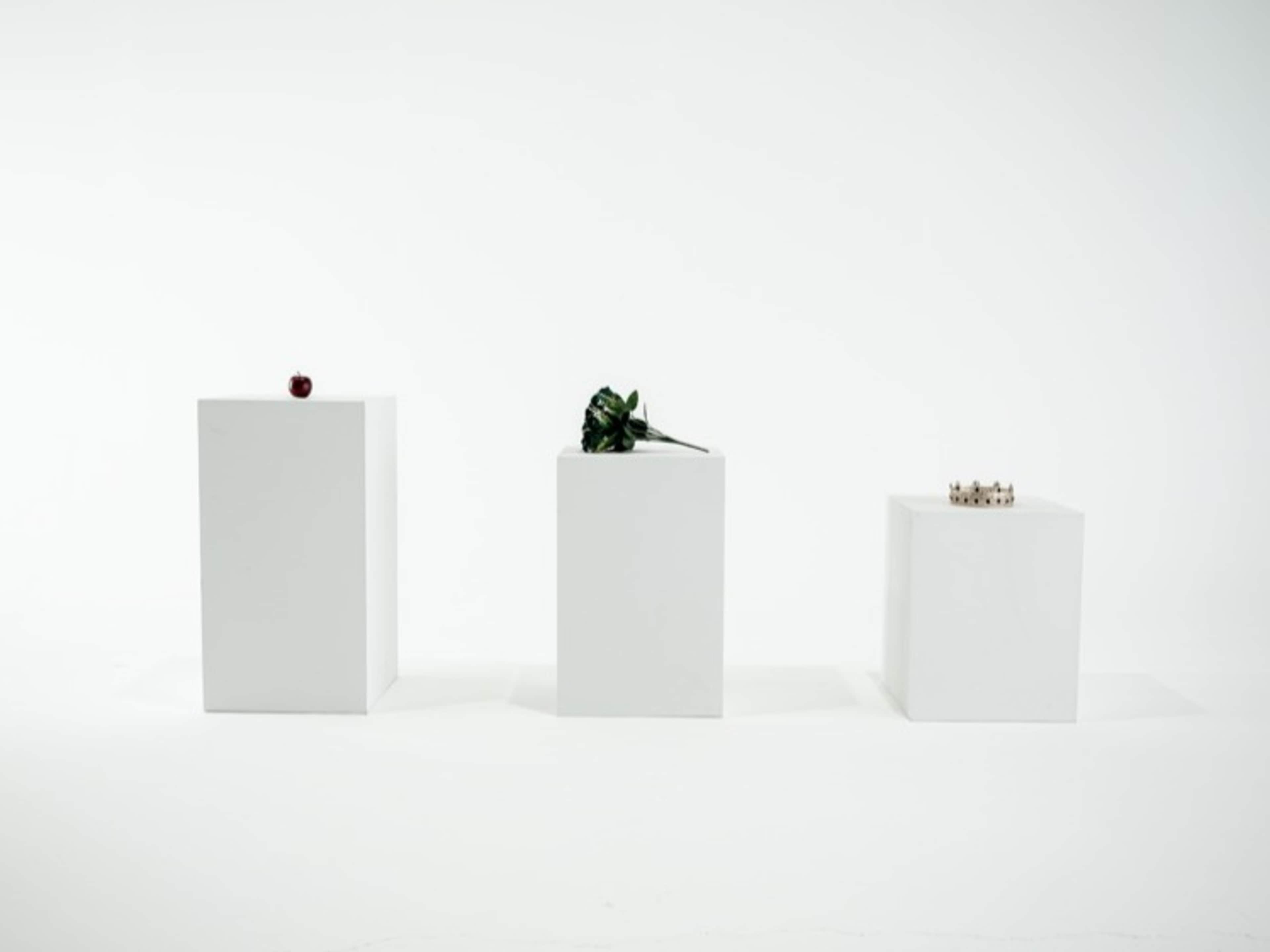 Full size white Cyc, green screen, Chinese store front - Light Included ...