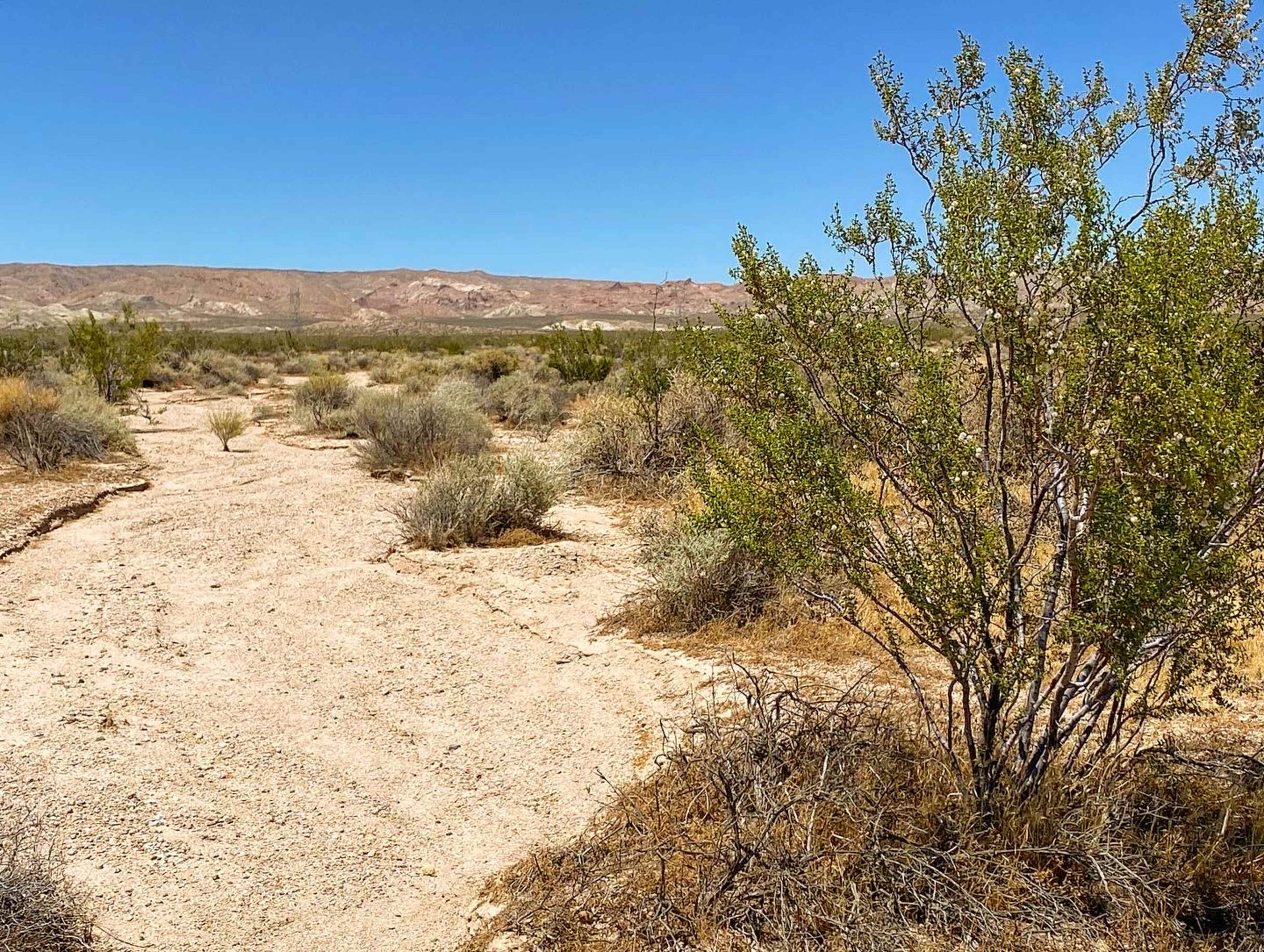 Secluded Rural Desert Property with Mountain Views at LM Spaces! Props ...