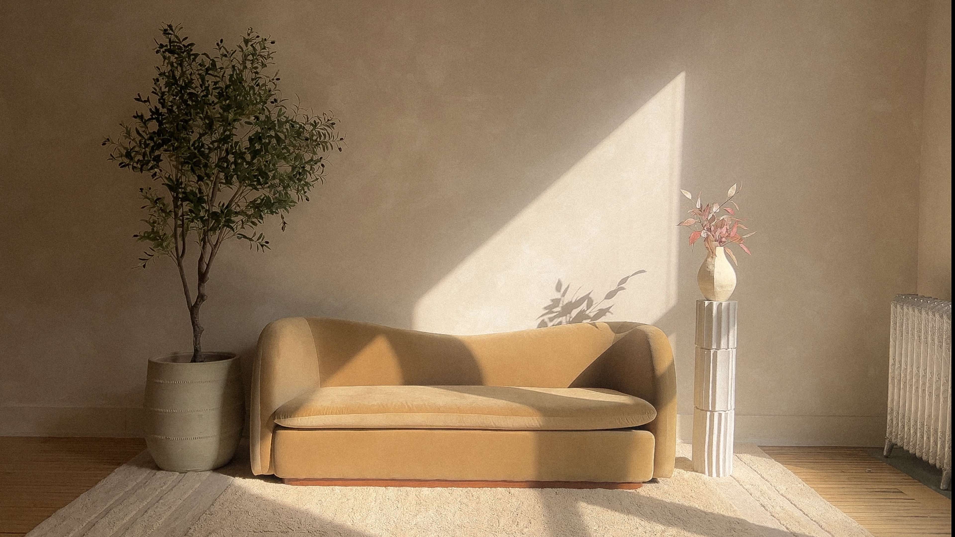 Studio Sunset Chicago | Pilsen Daylight Studio: Wabi Sabi Limewash ...