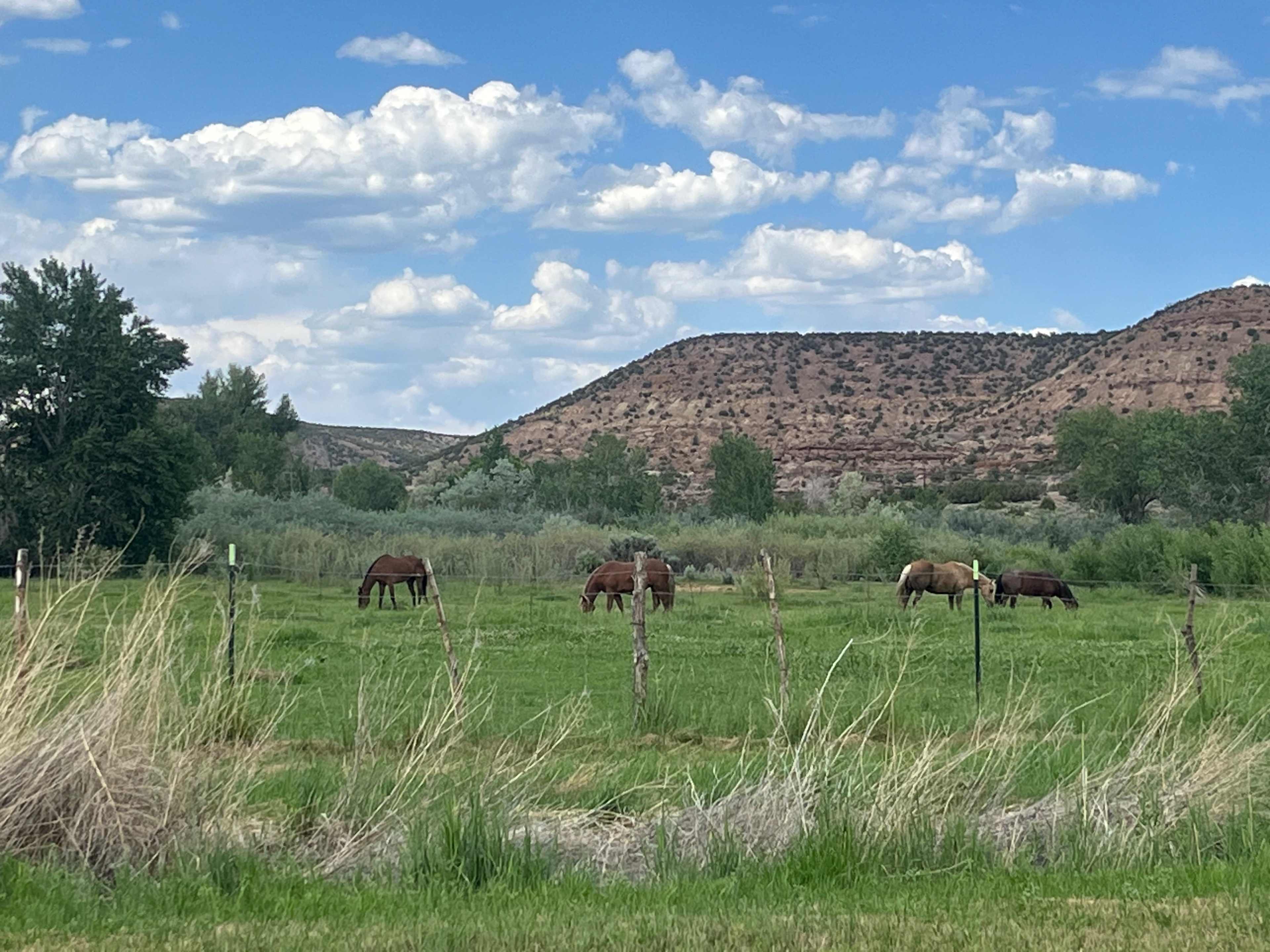 Historic Cattle Ranch/Farm Property, Bluebell, UT | Production | Peerspace