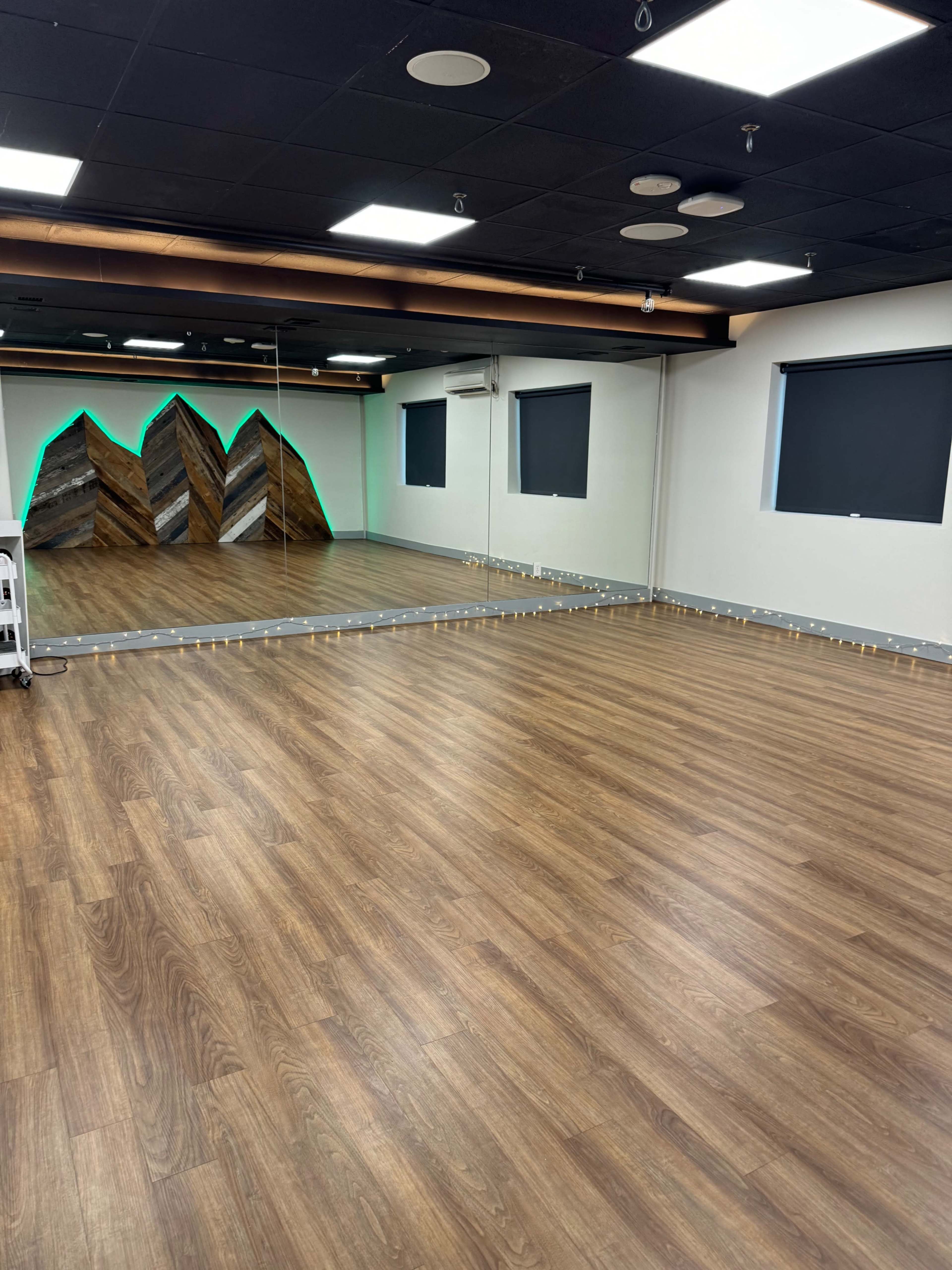 Cozy yoga studio with rustic mountain mural, Aurora, CO | Production ...