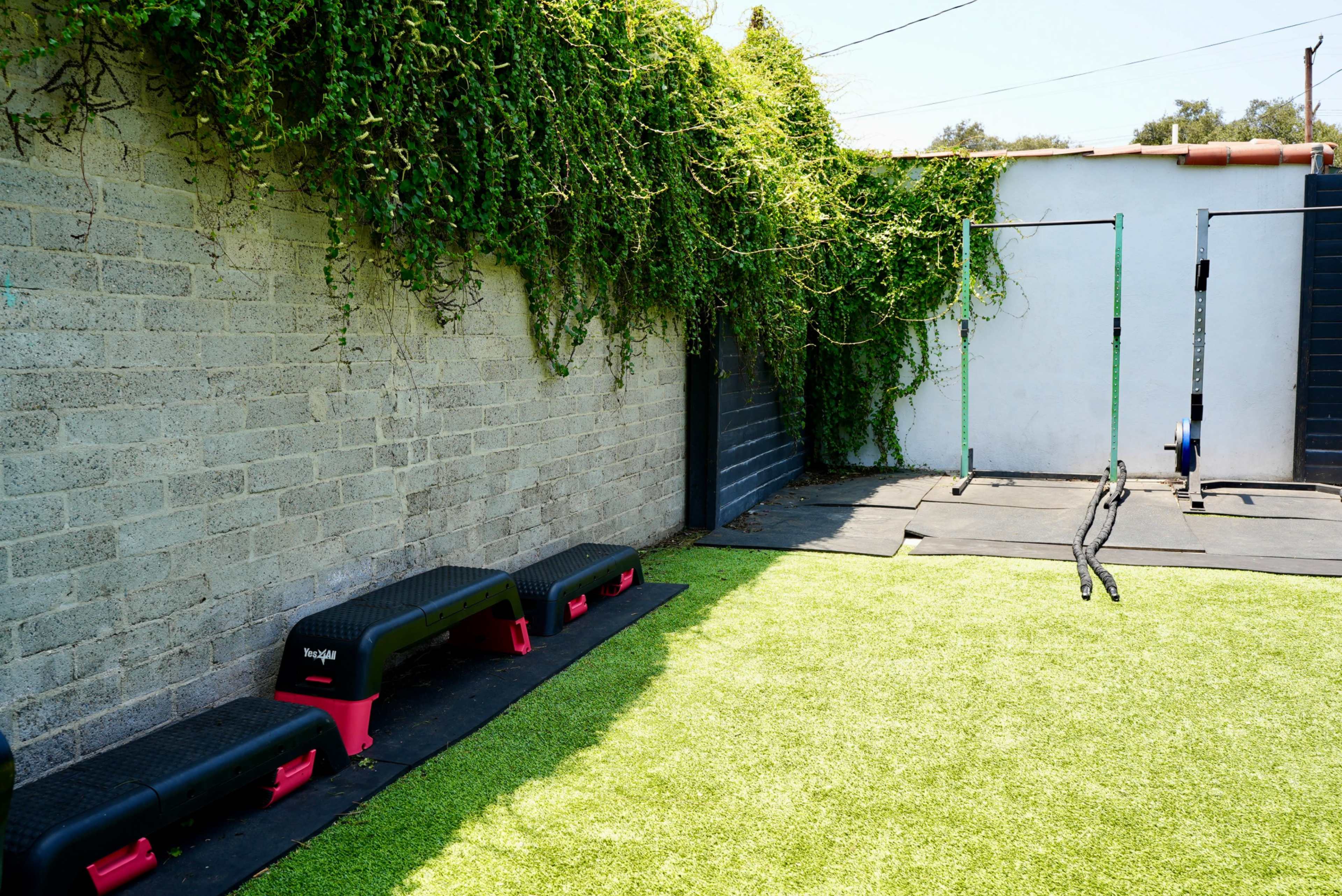 Savage Studio and Cage | Elite Wrestling & Combat Gym w/ Hex Lighting ...