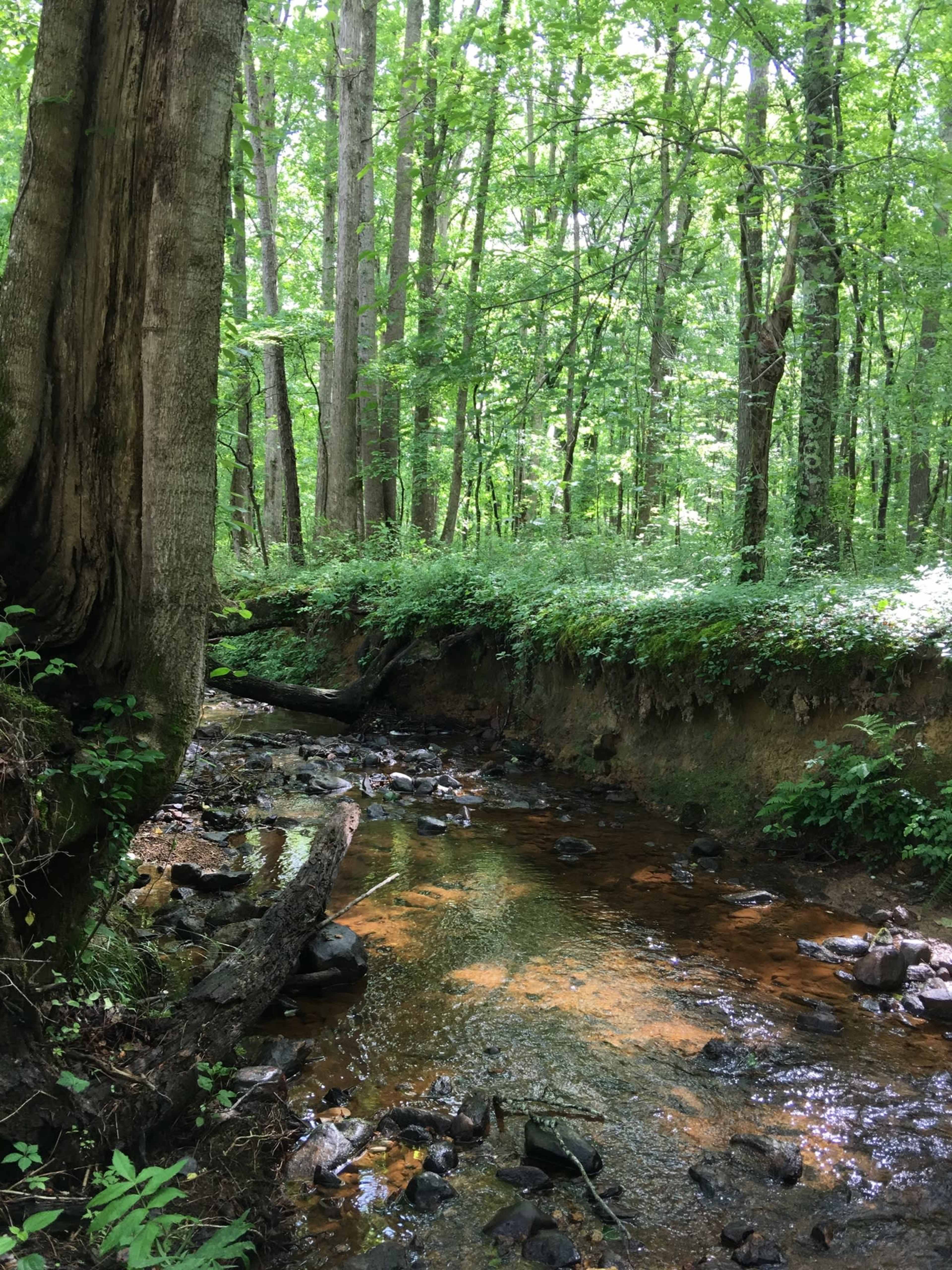 Hidden Valley Home, Cartersville, GA | Production | Peerspace