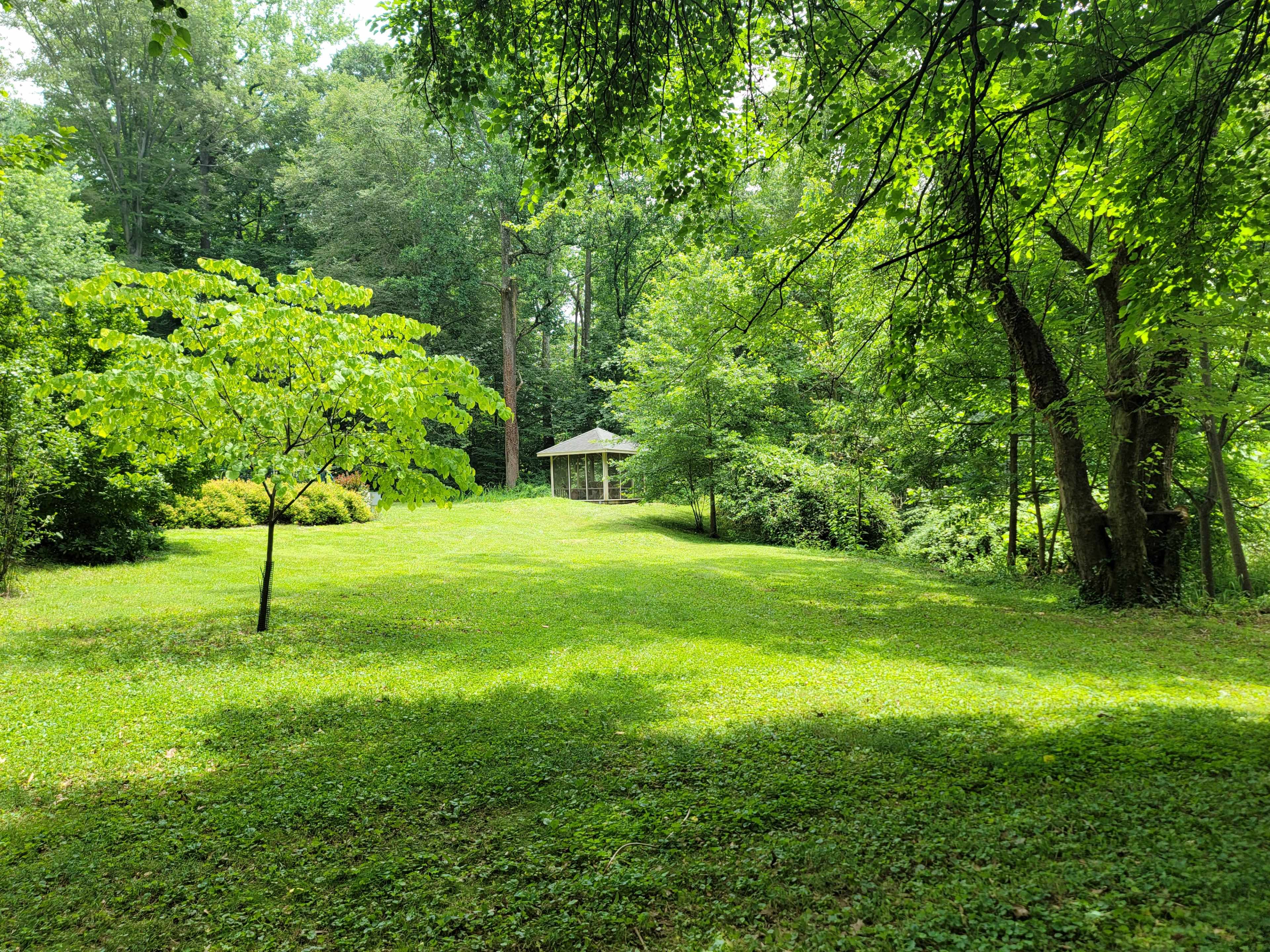 Outdoor Event or Party Space - Creekside grassy knoll under the shade ...