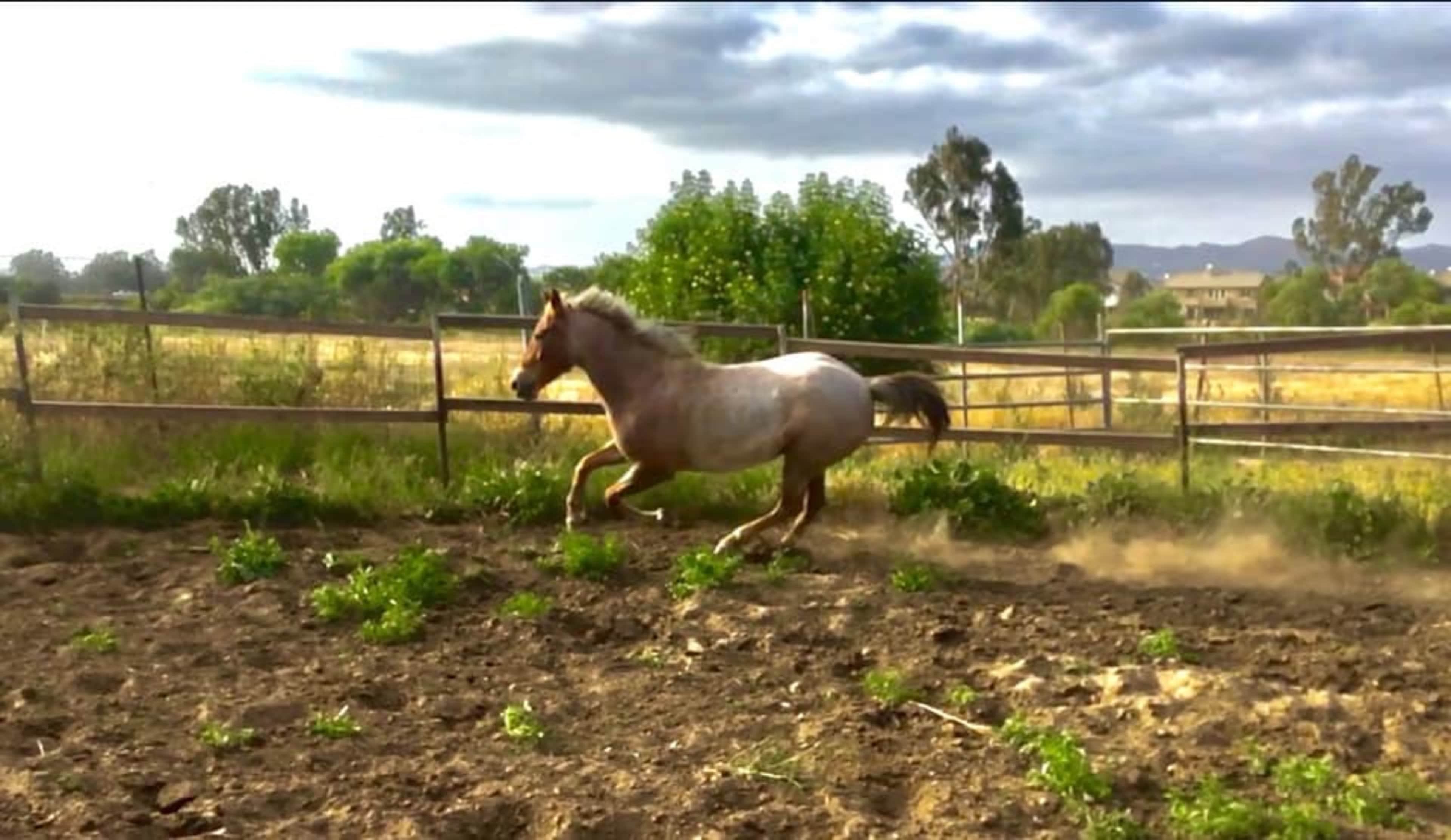 Magical La Cresta Ranch with Stunning Views, Murrieta, CA | Production ...