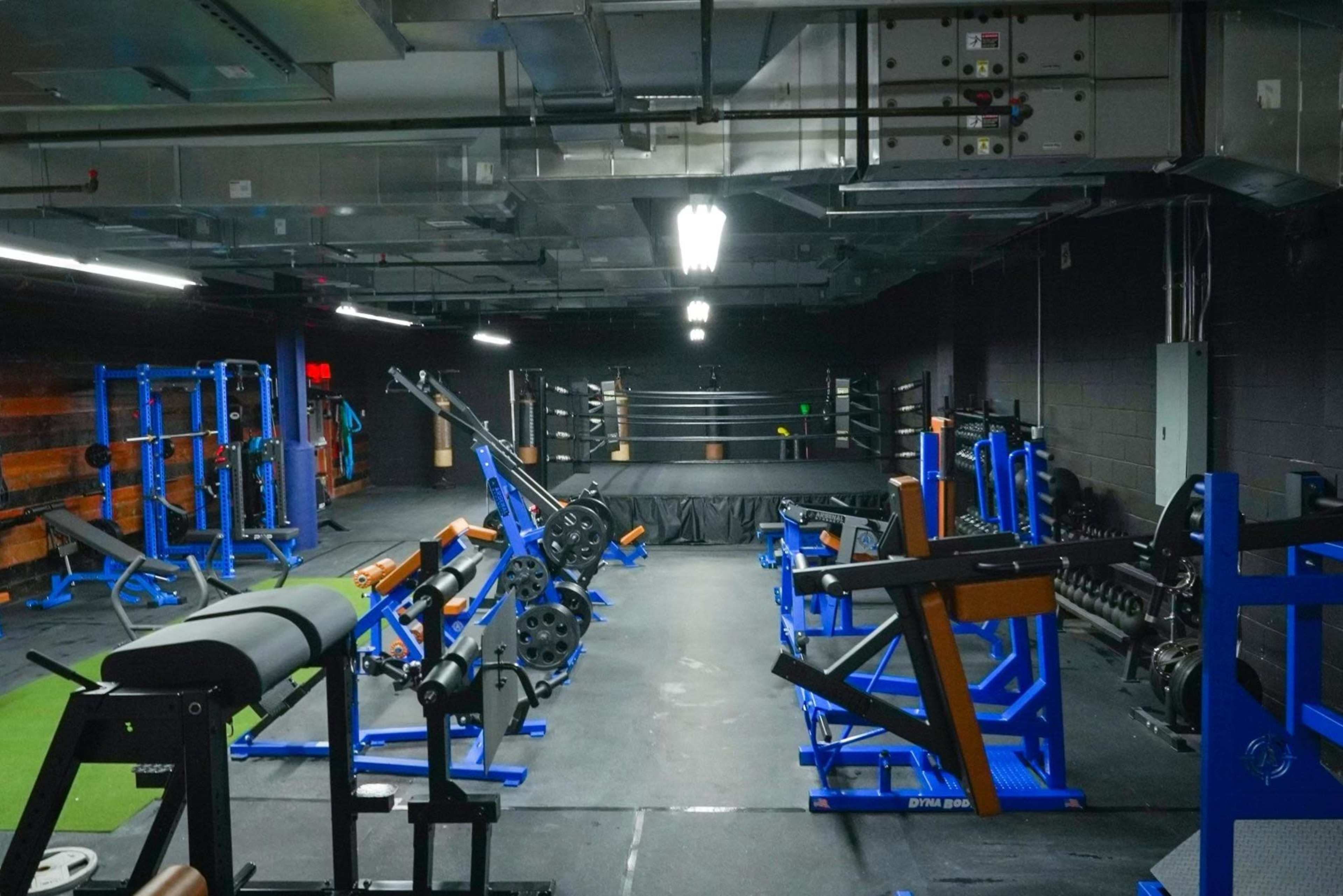 Urban, Modern boxing gym, high end strength training equipment. Trendy ...