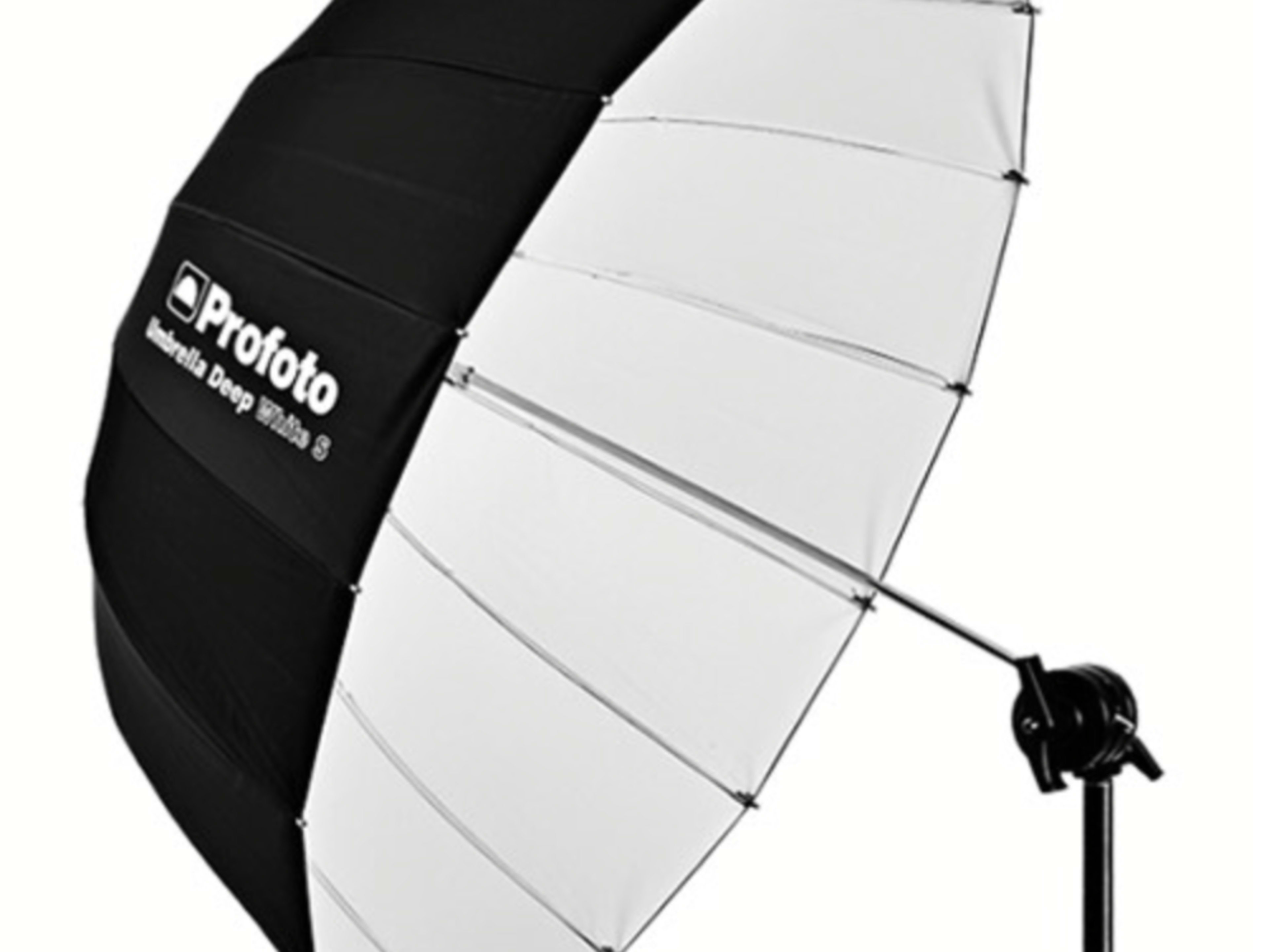 magphotostudio | Natural Light DTLA Professional Photography Studio ...