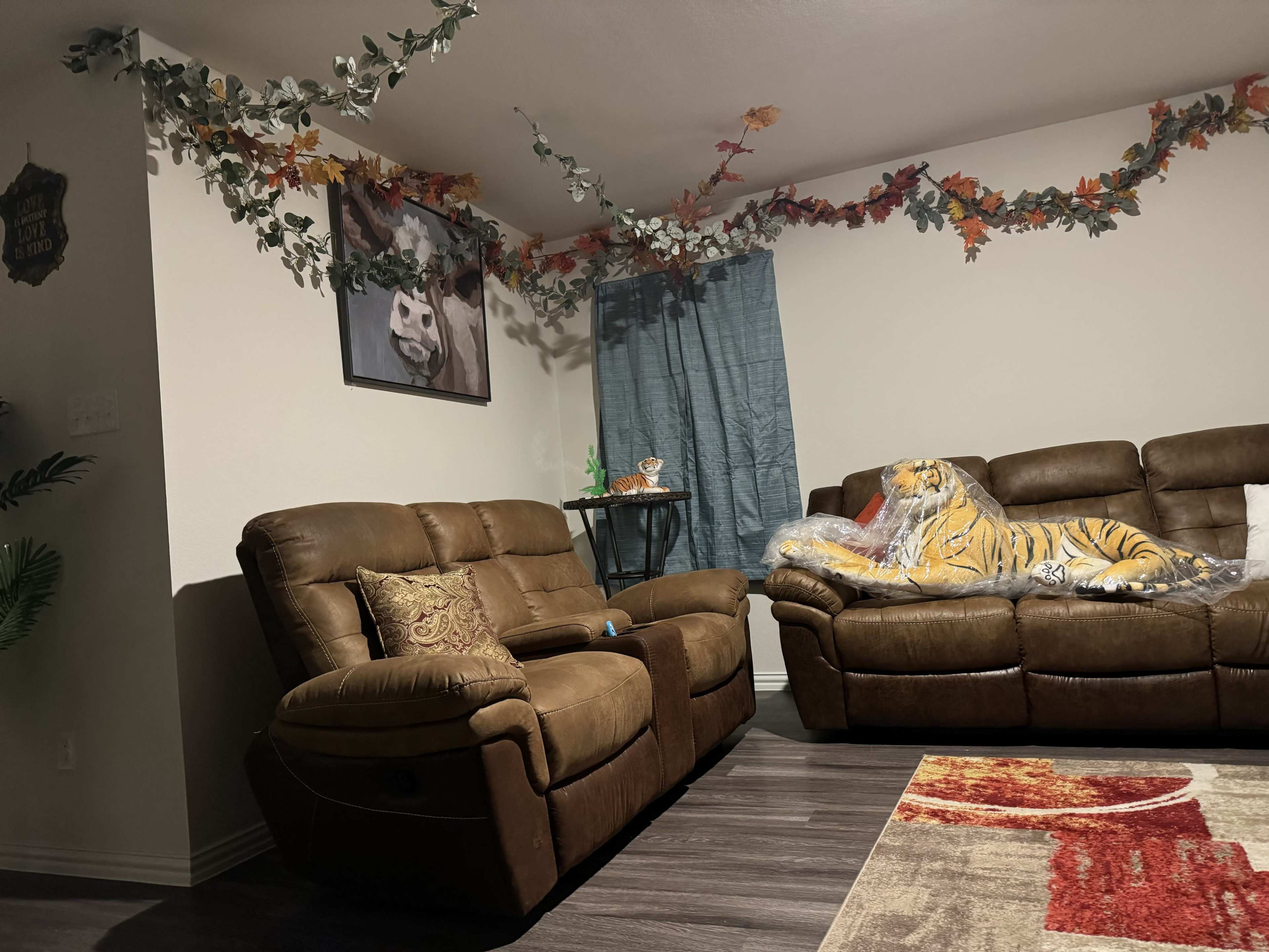 Jungle Book in Galena Park, Houston, TX | Production | Peerspace