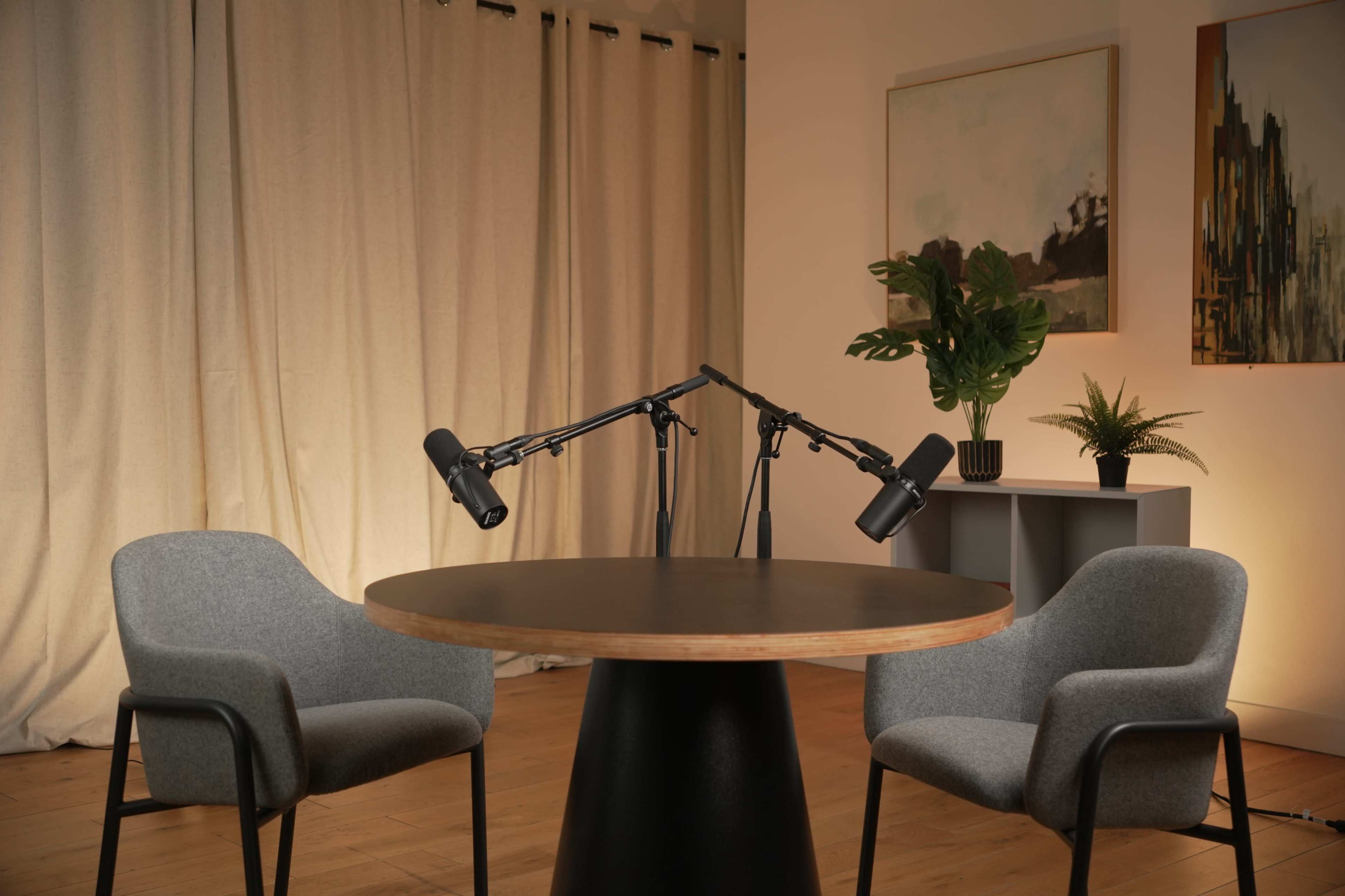 Theorist Studios | Midtown East Podcast Studio, New York, NY ...