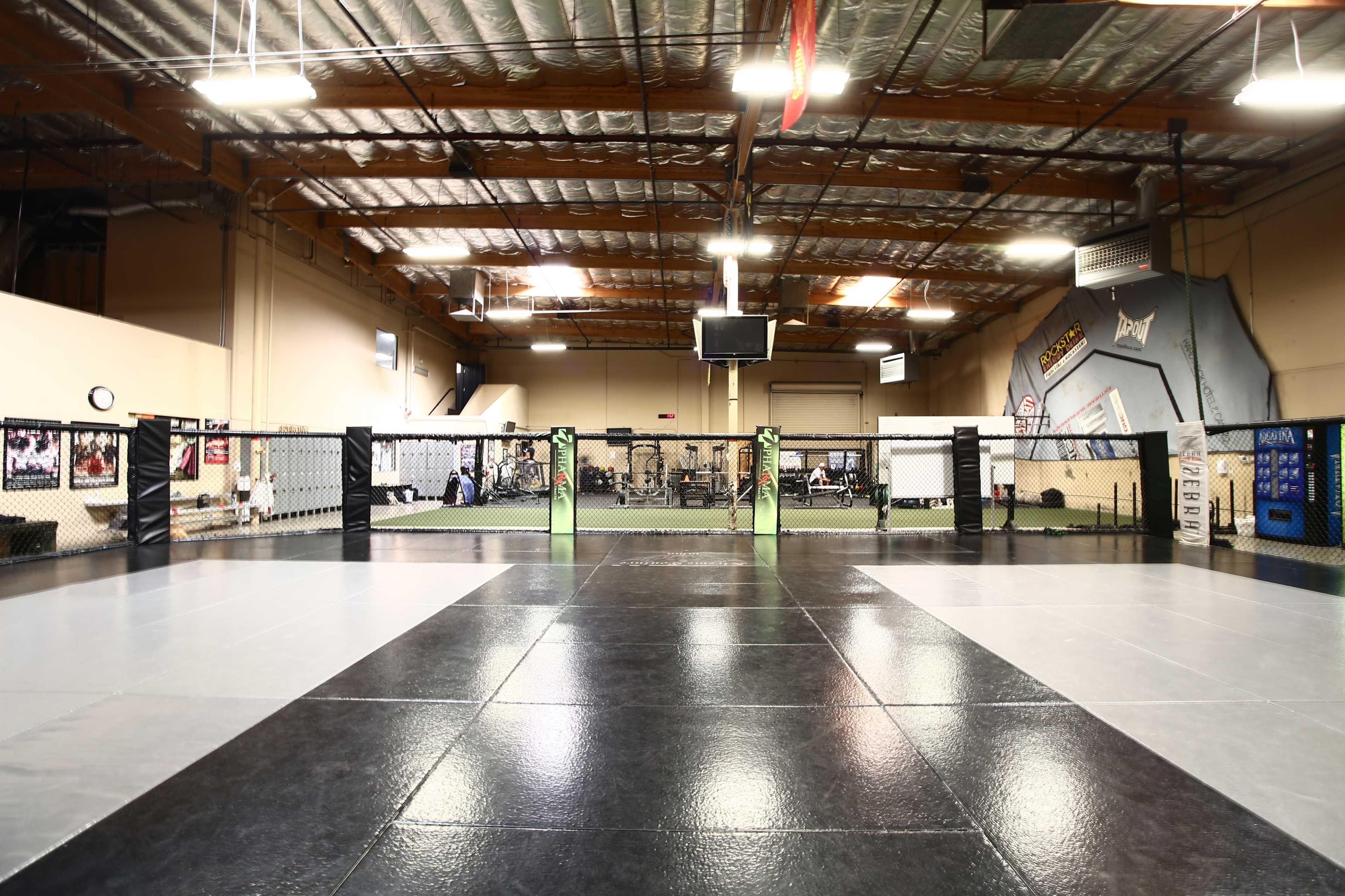 Huge Fitness Training Mat Area with Punching Bags and World Class ...