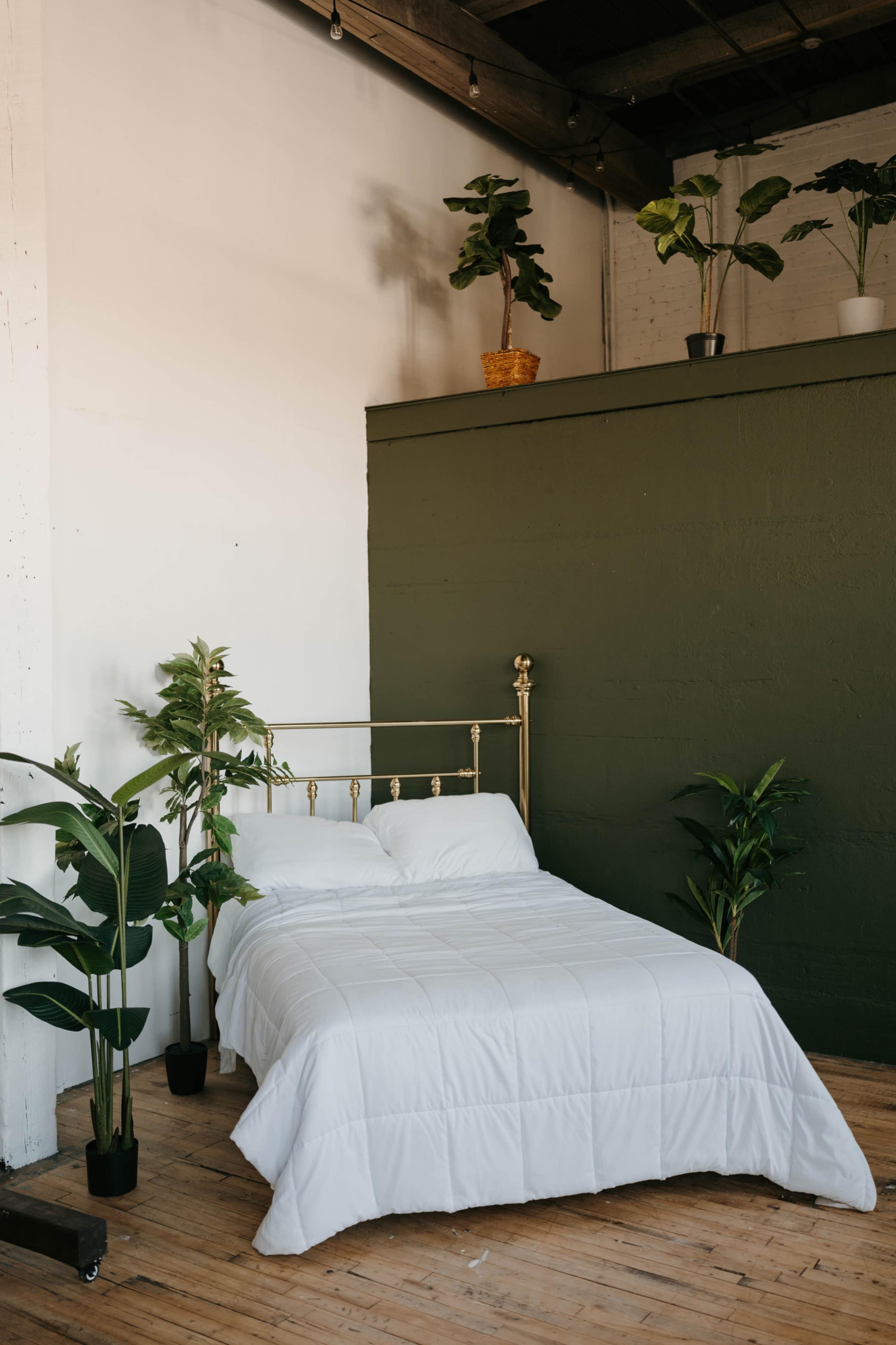 Natural light photo studio in northeast Minneapolis with neutral colors ...