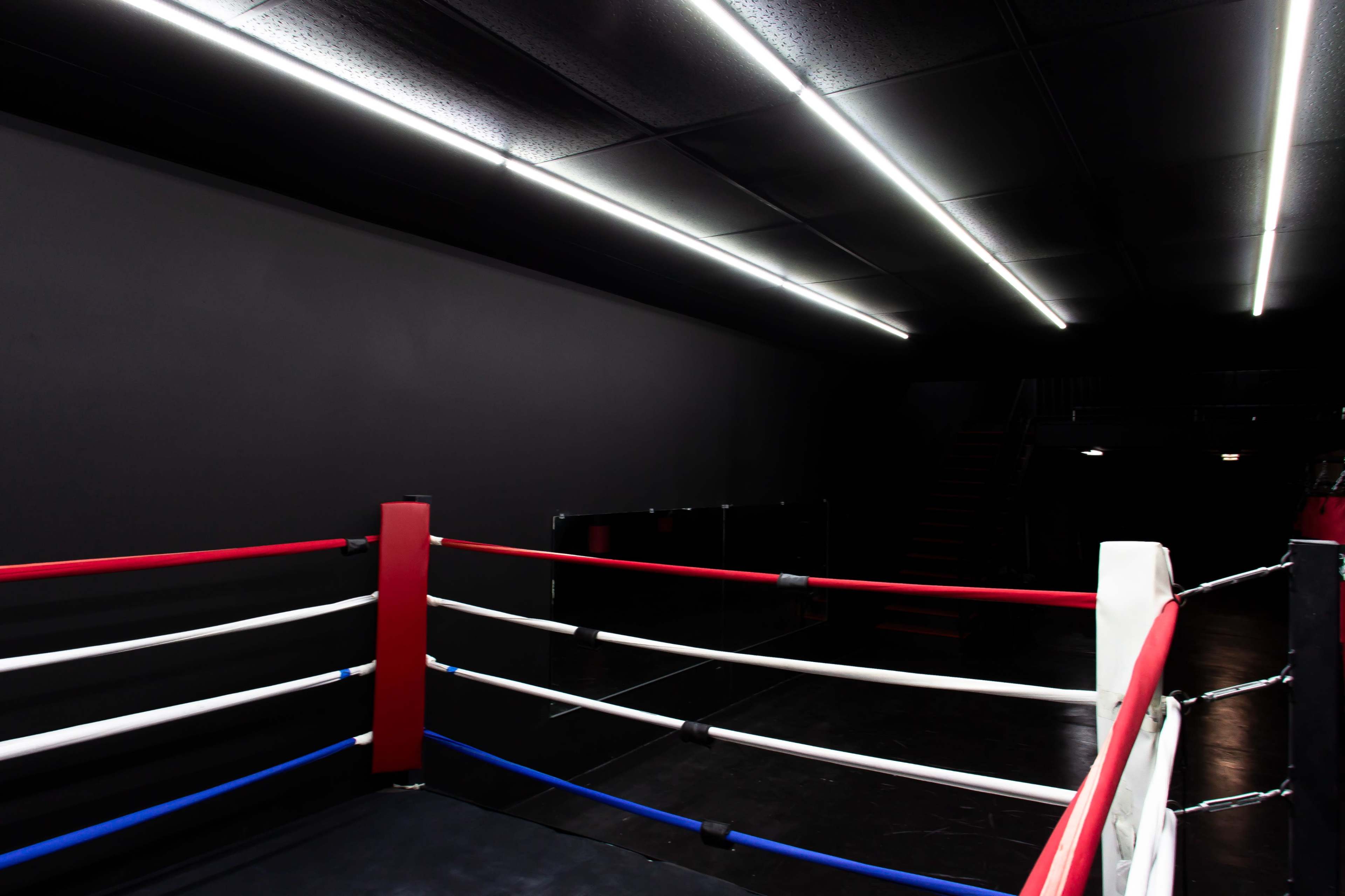 Infinity Boxing Gym | Sleek, Modern Boxing Studio with Atomospheric ...