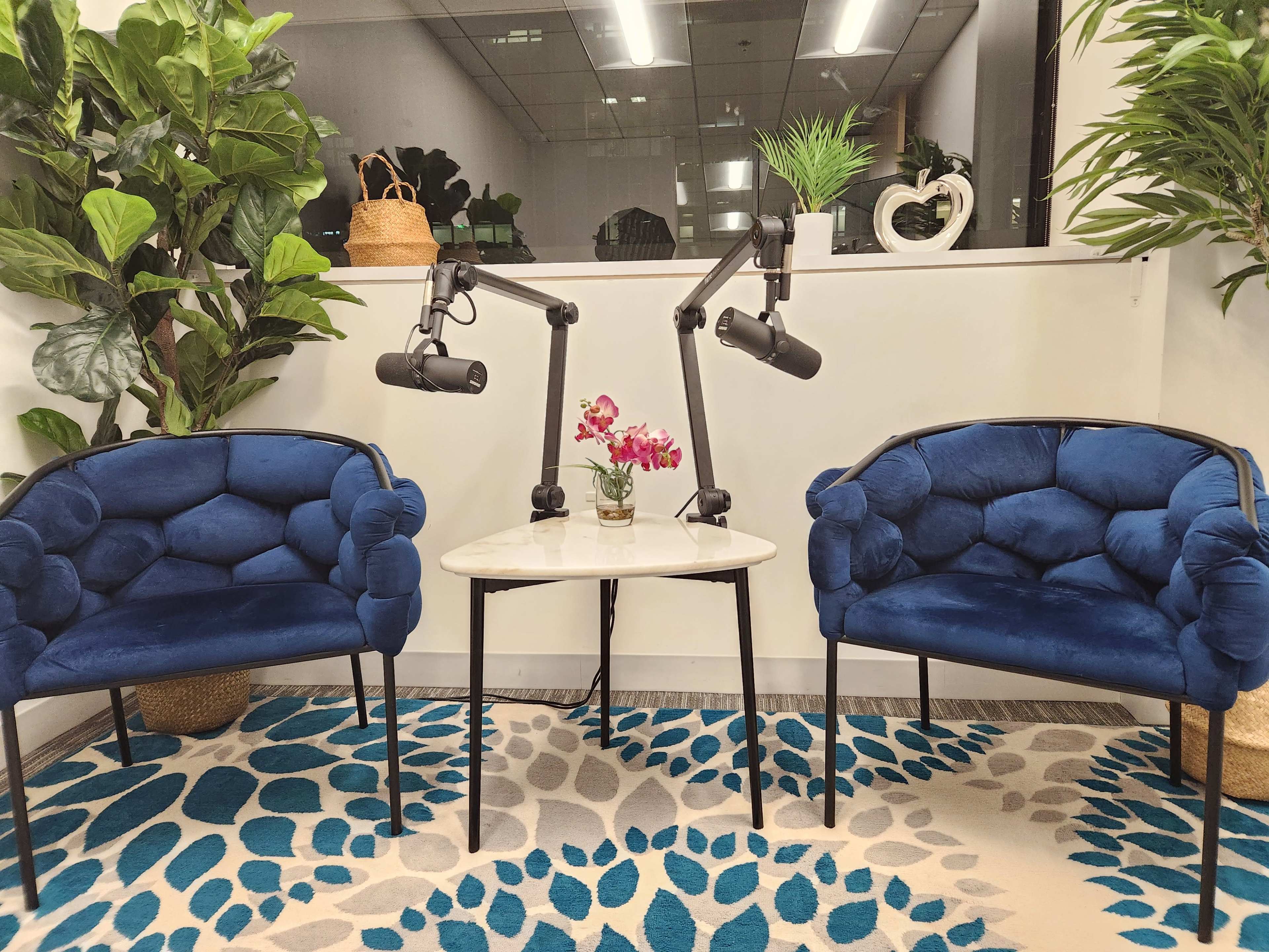 Podcast Studio with Joe Rogen's like equipment, BEVERLY HILLS, CA ...