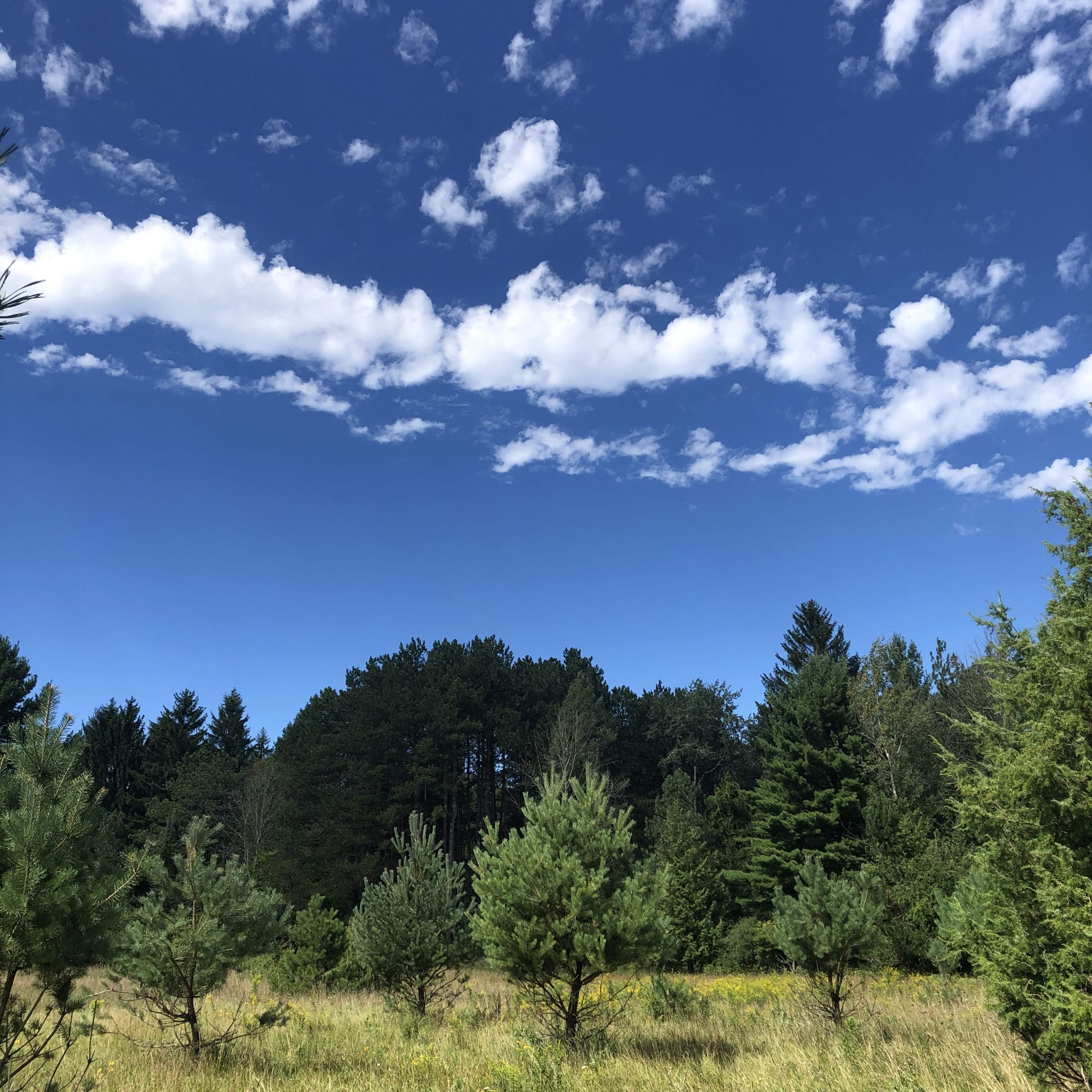 Spacious Farmhouse Property, East Jordan, MI | Production | Peerspace