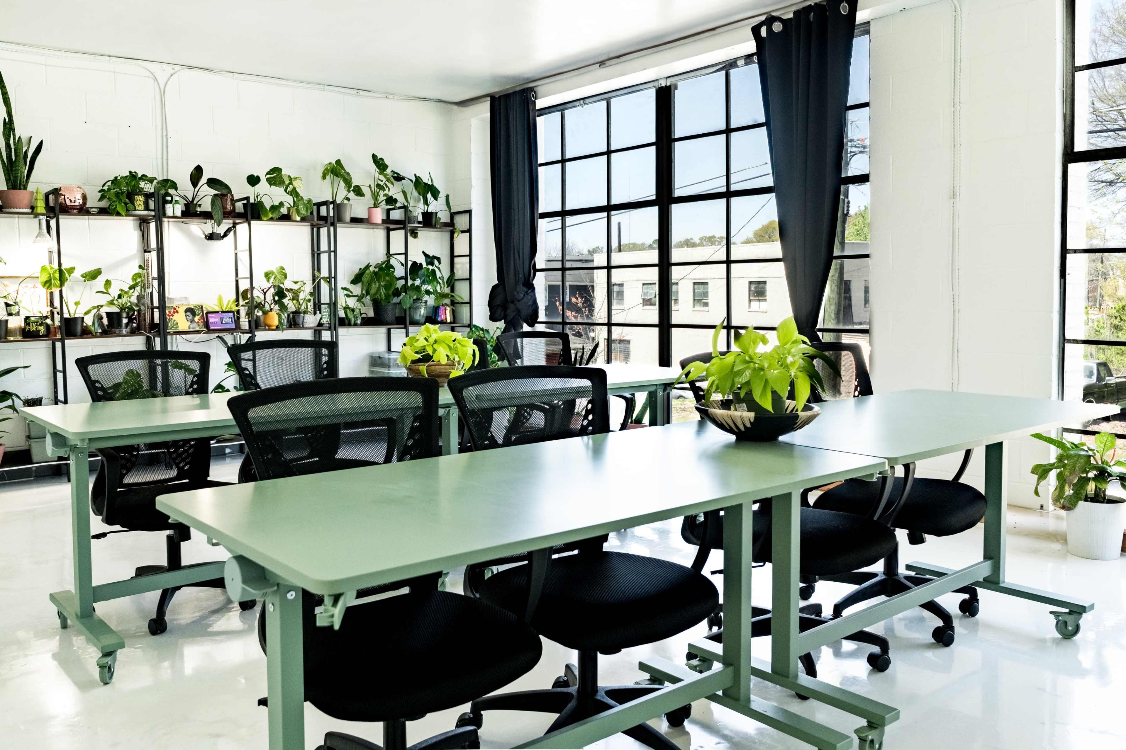 The Plant Apothecary | Versatile Plant Studio for Team Meetings ...