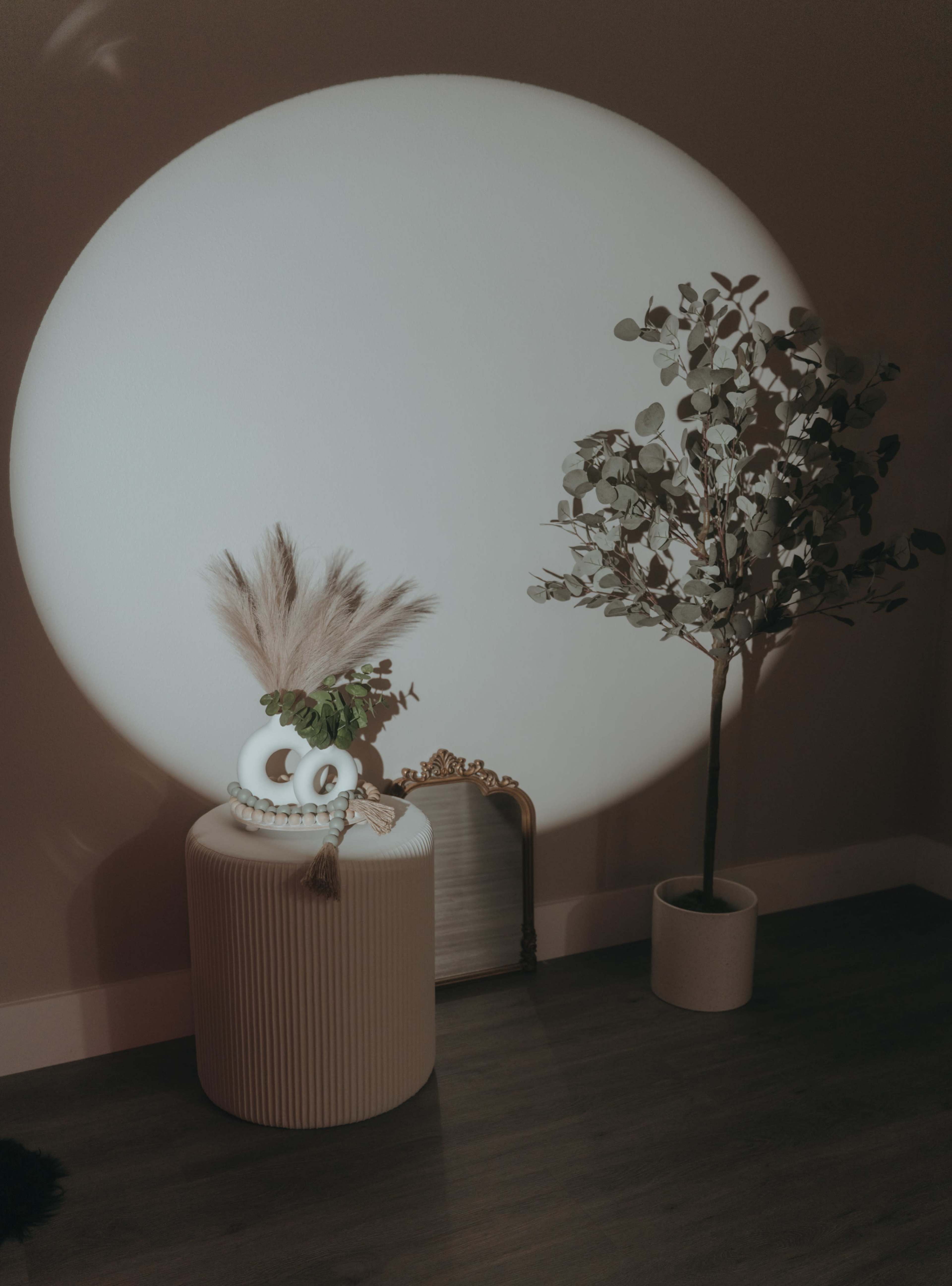 Moments by Mel Studio | Neutral Boho Studio, Palm Coast, FL ...