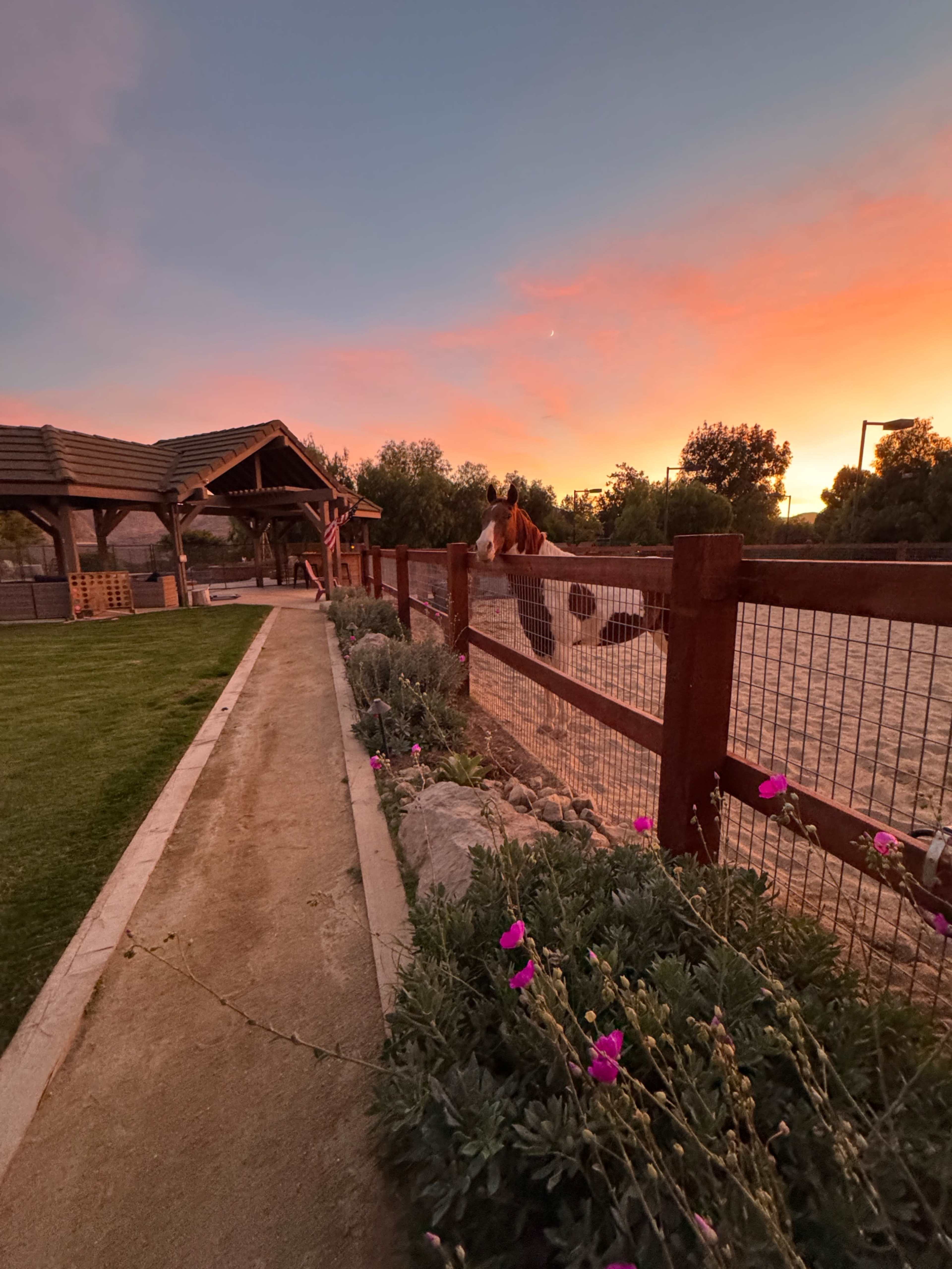Luxury Meets Rustic Farm Yard, Santa Rosa Valley, CA | Production ...