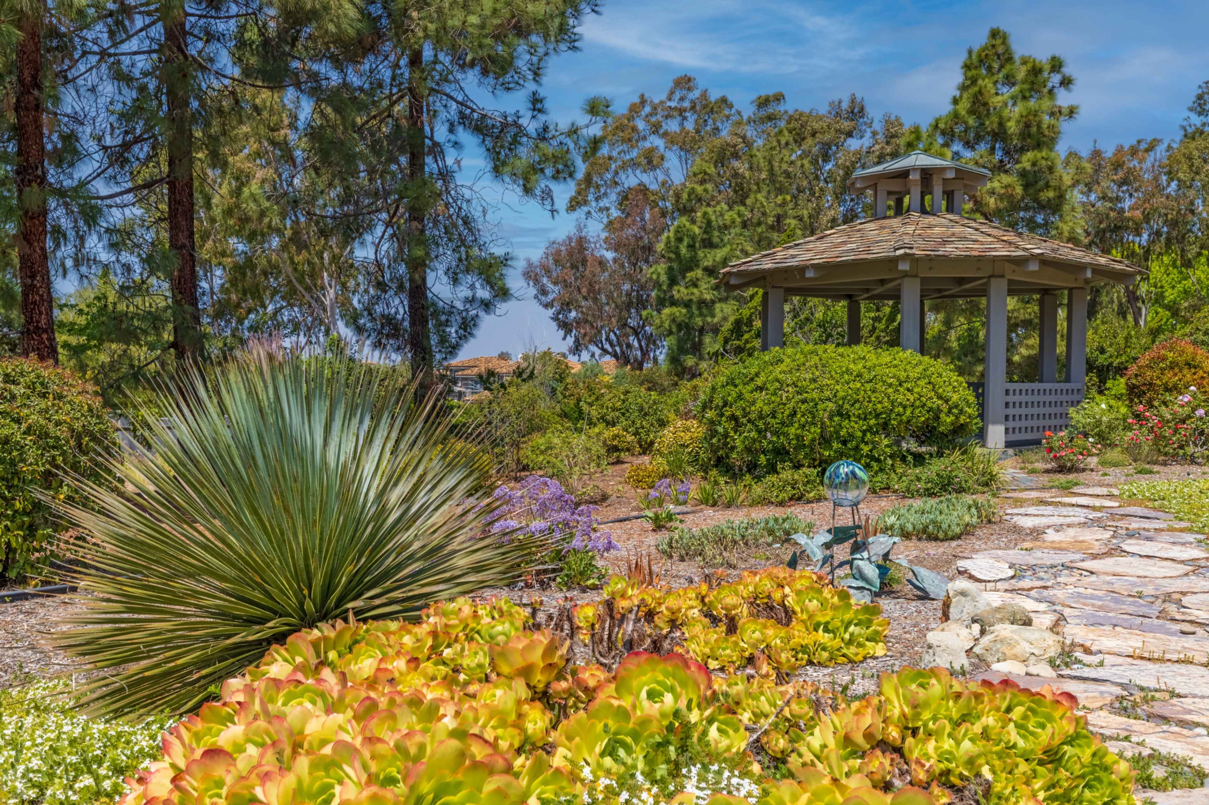 2 acre estate and orchard in Rancho Santa Fe, Rancho Santa Fe, CA | Production | Peerspace