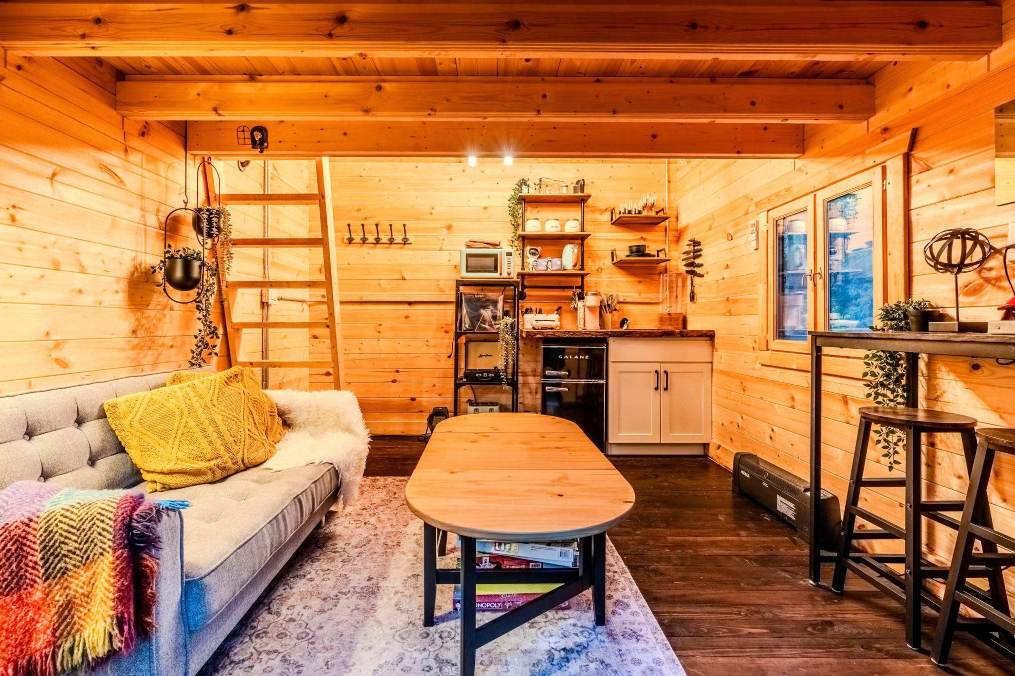 The Taiga Animal Sanctuary | 10 Acres Animal Sanctuary, Sharon ...