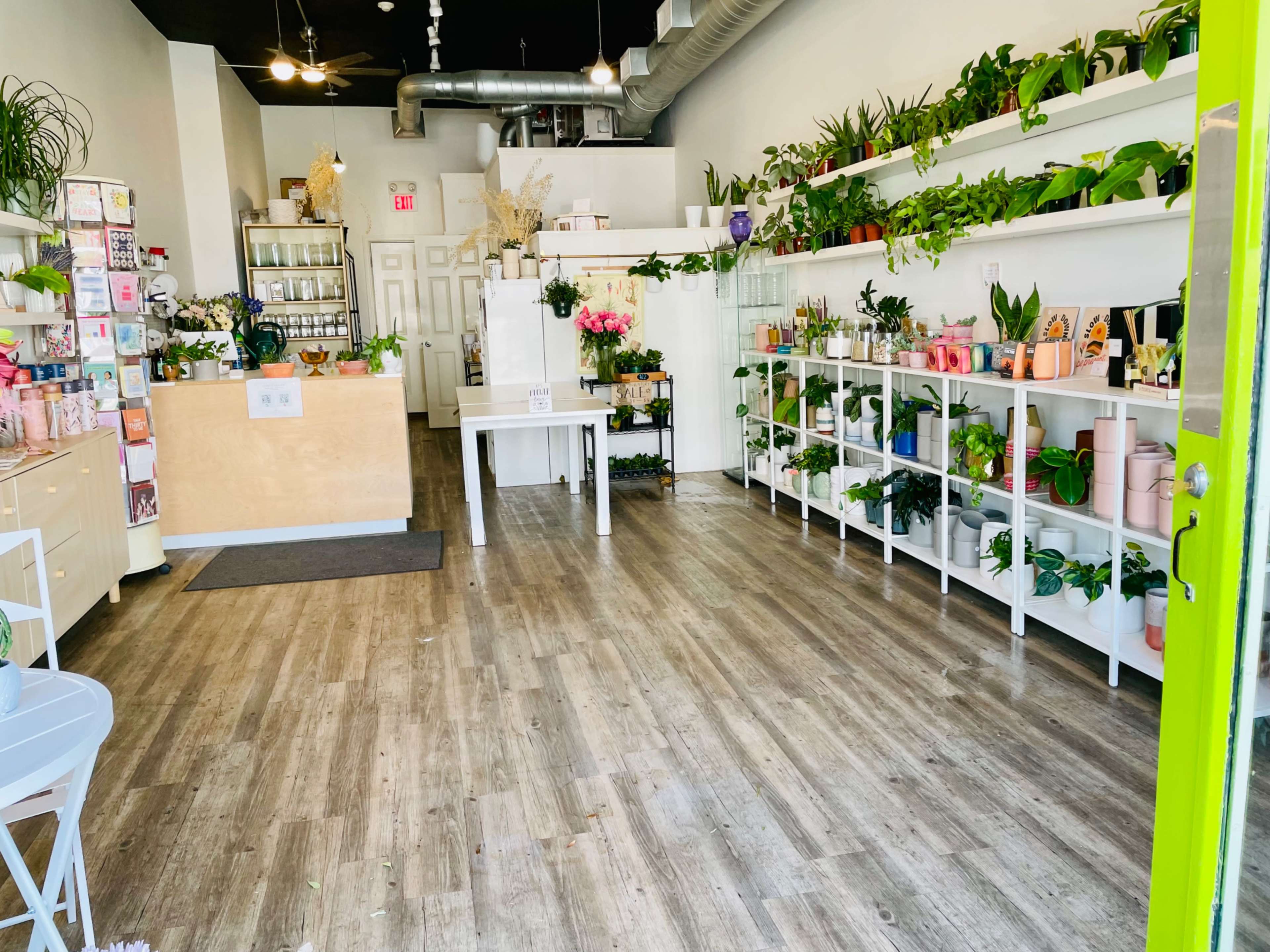 Airy, bright studio filled with living plants and flowers, Somerville ...