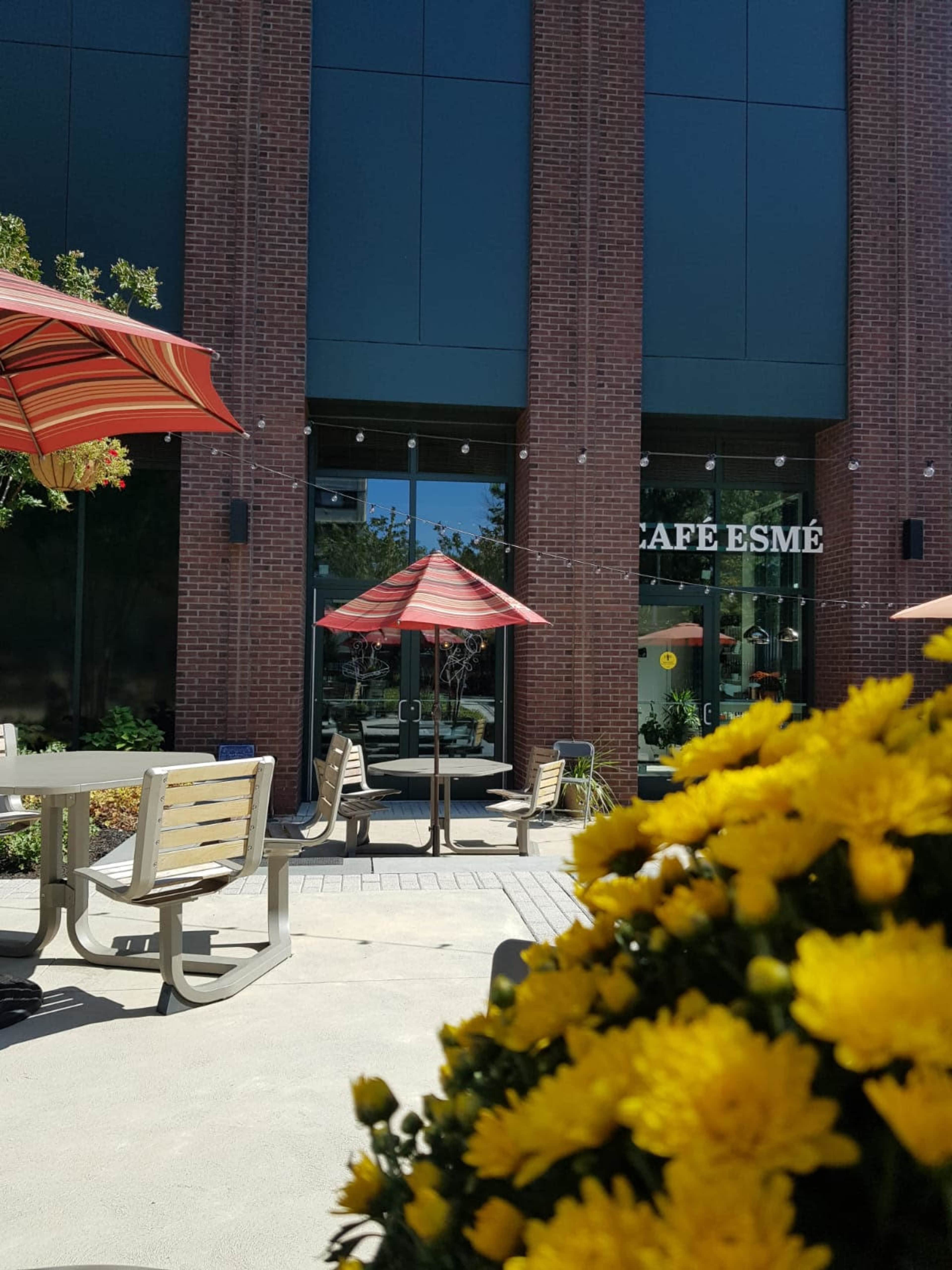 Café Esme | Downtown cafe with a cozy atmosphere and unique equestrian ...