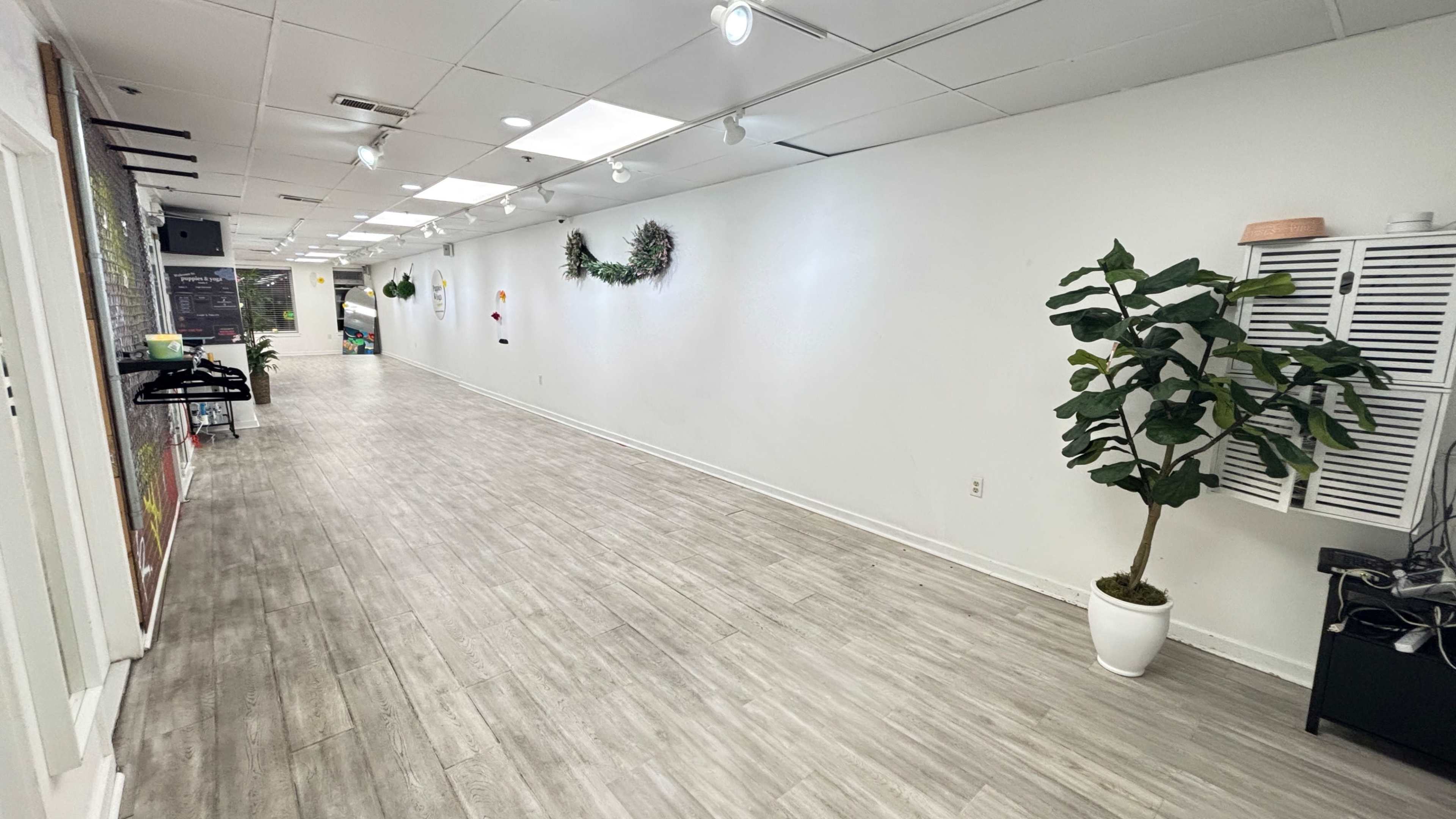 Multipurpose Bright Artsy studio with Graffiti Walls in Adams Morgan ...