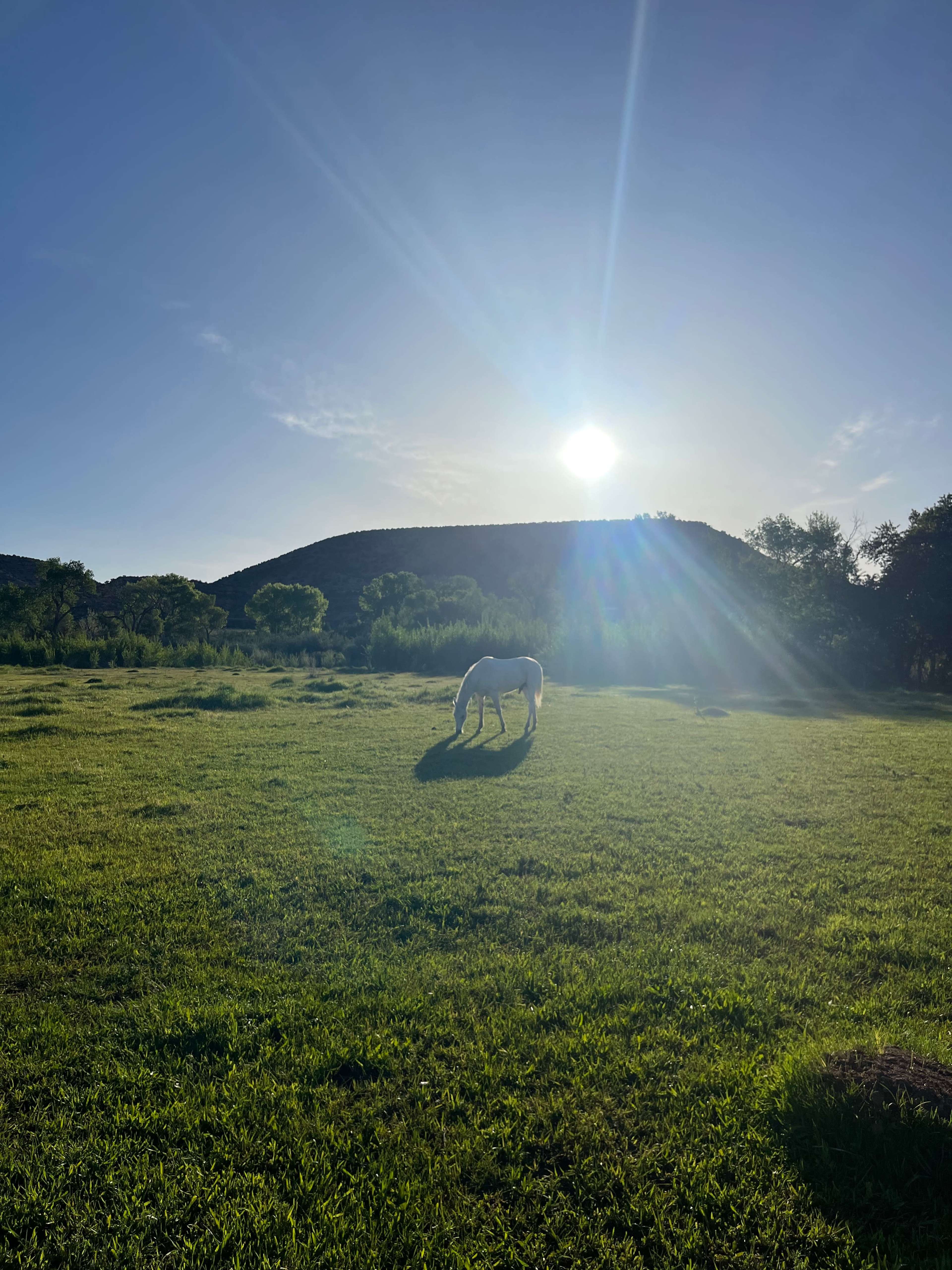 Historic Cattle Ranch/Farm Property, Bluebell, UT | Production | Peerspace