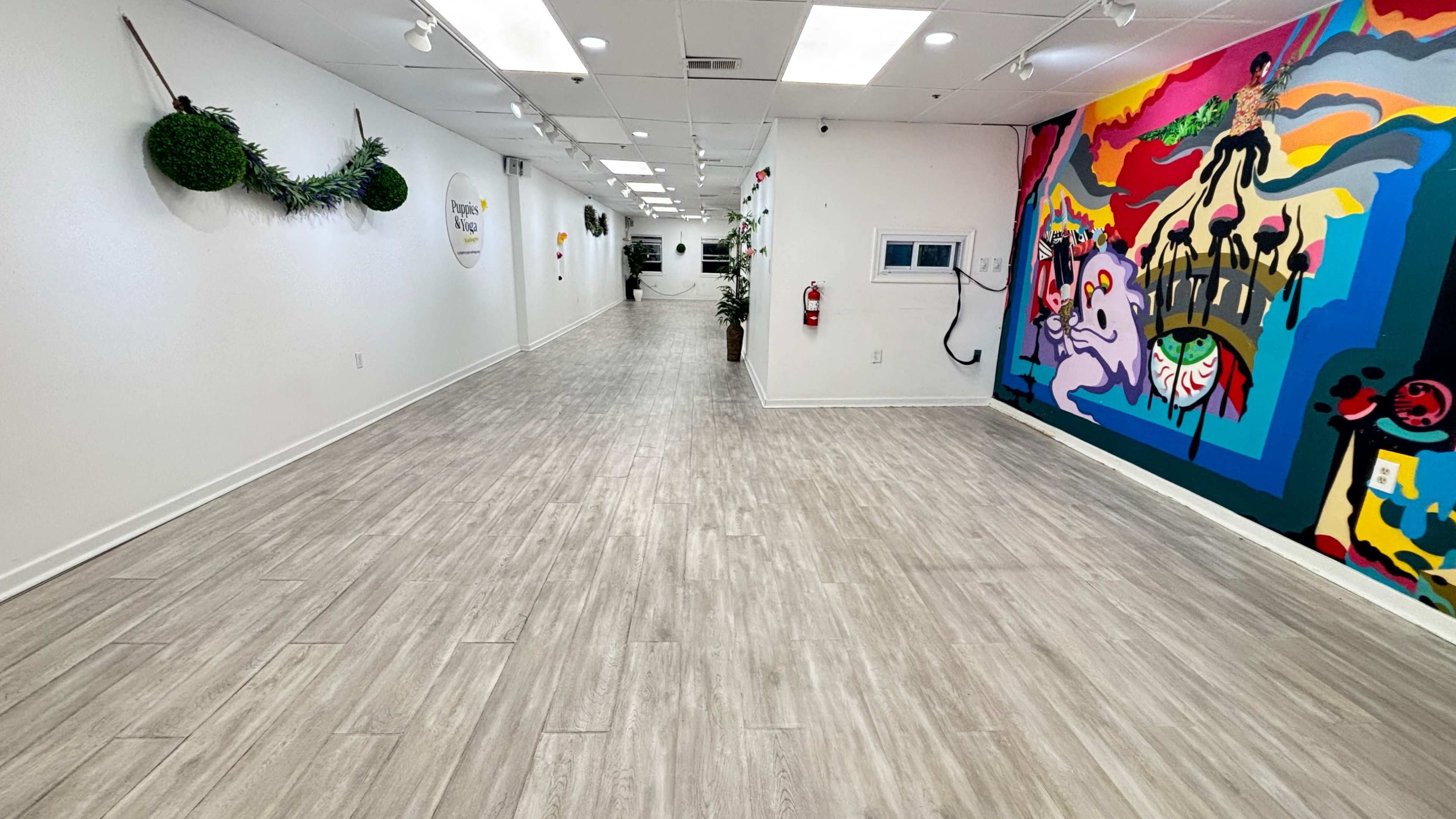 Multipurpose Bright Artsy studio with Graffiti Walls in Adams Morgan ...