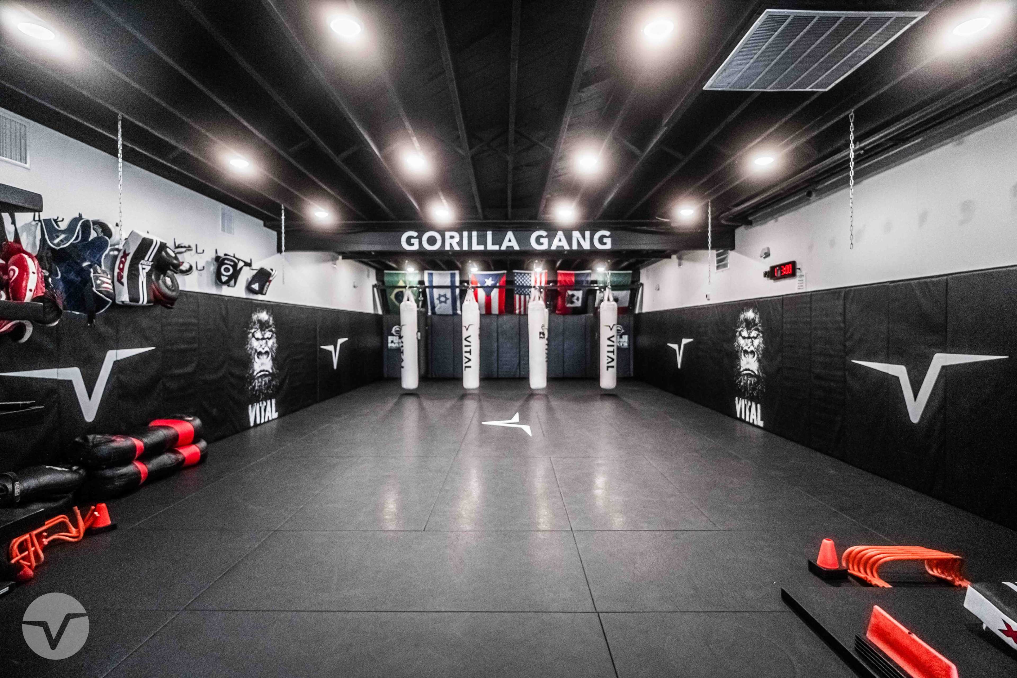 Modern Industrial Fitness and Boxing Facility, Denver, CO | Production ...