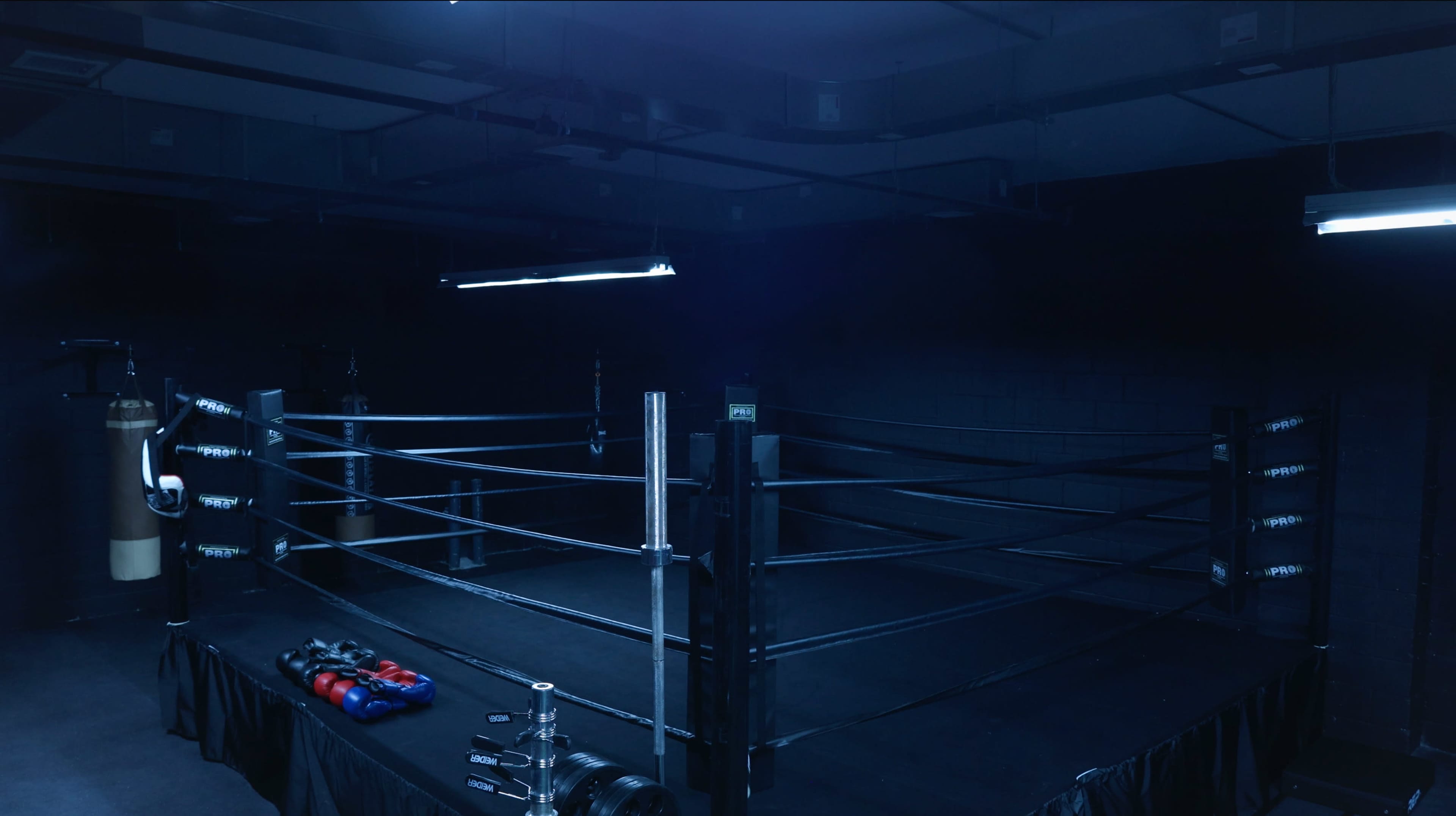 Urban, Modern boxing gym, high end strength training equipment. Trendy ...