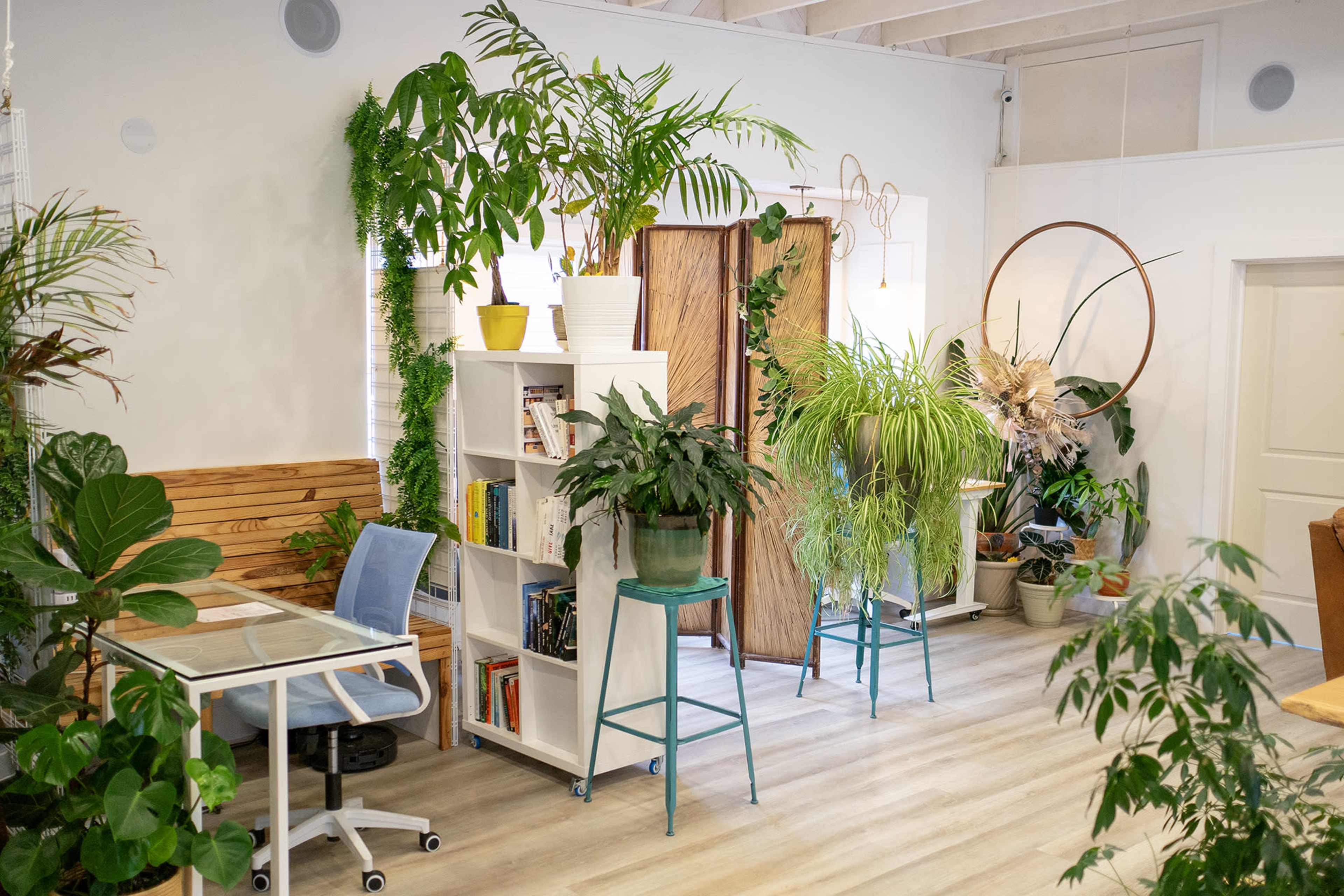 Sustainable Co-Working + Events Space, Ocean City, NJ | Production ...