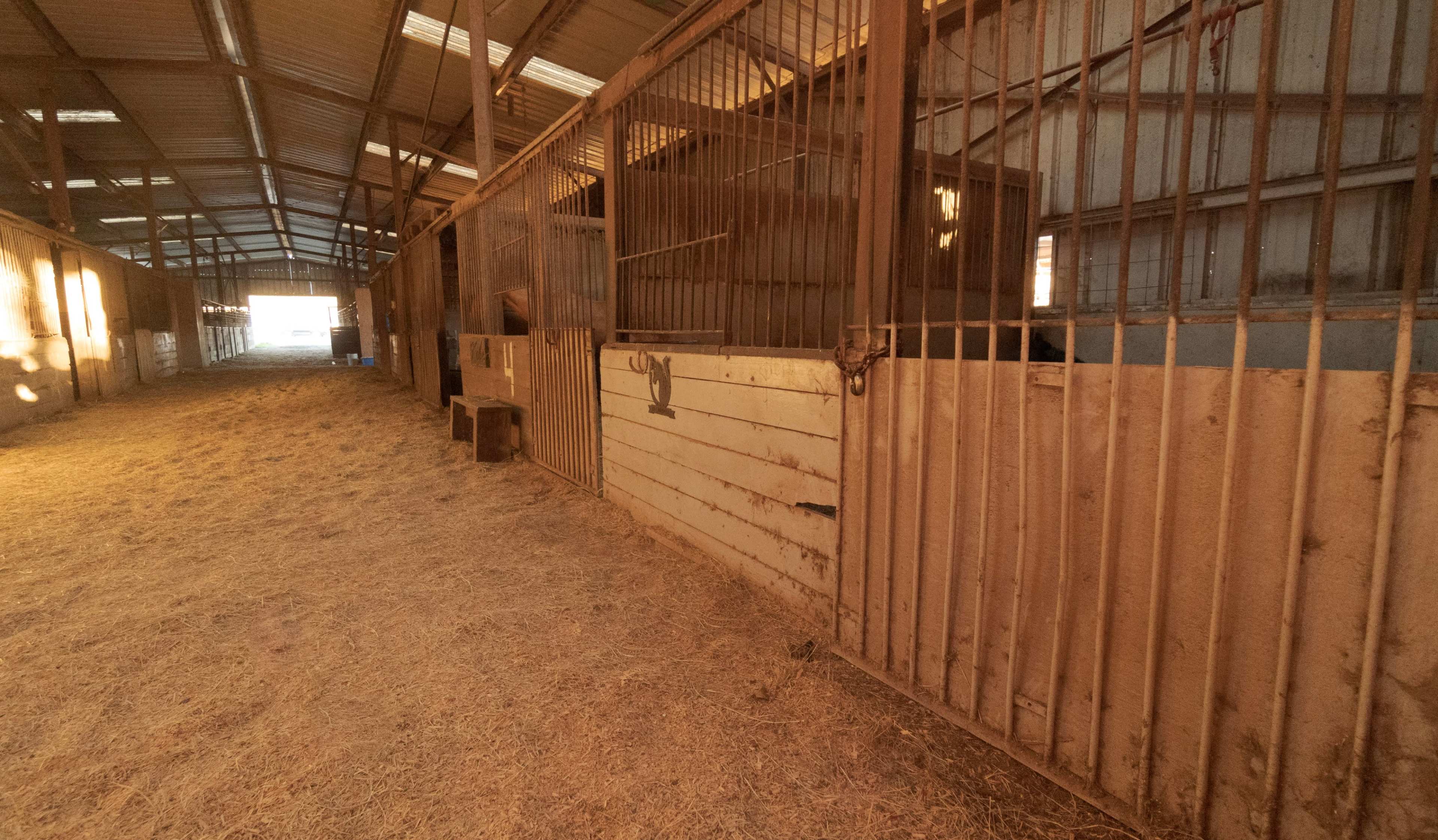 Western Horse Stalls Events Complex, Business Council, County