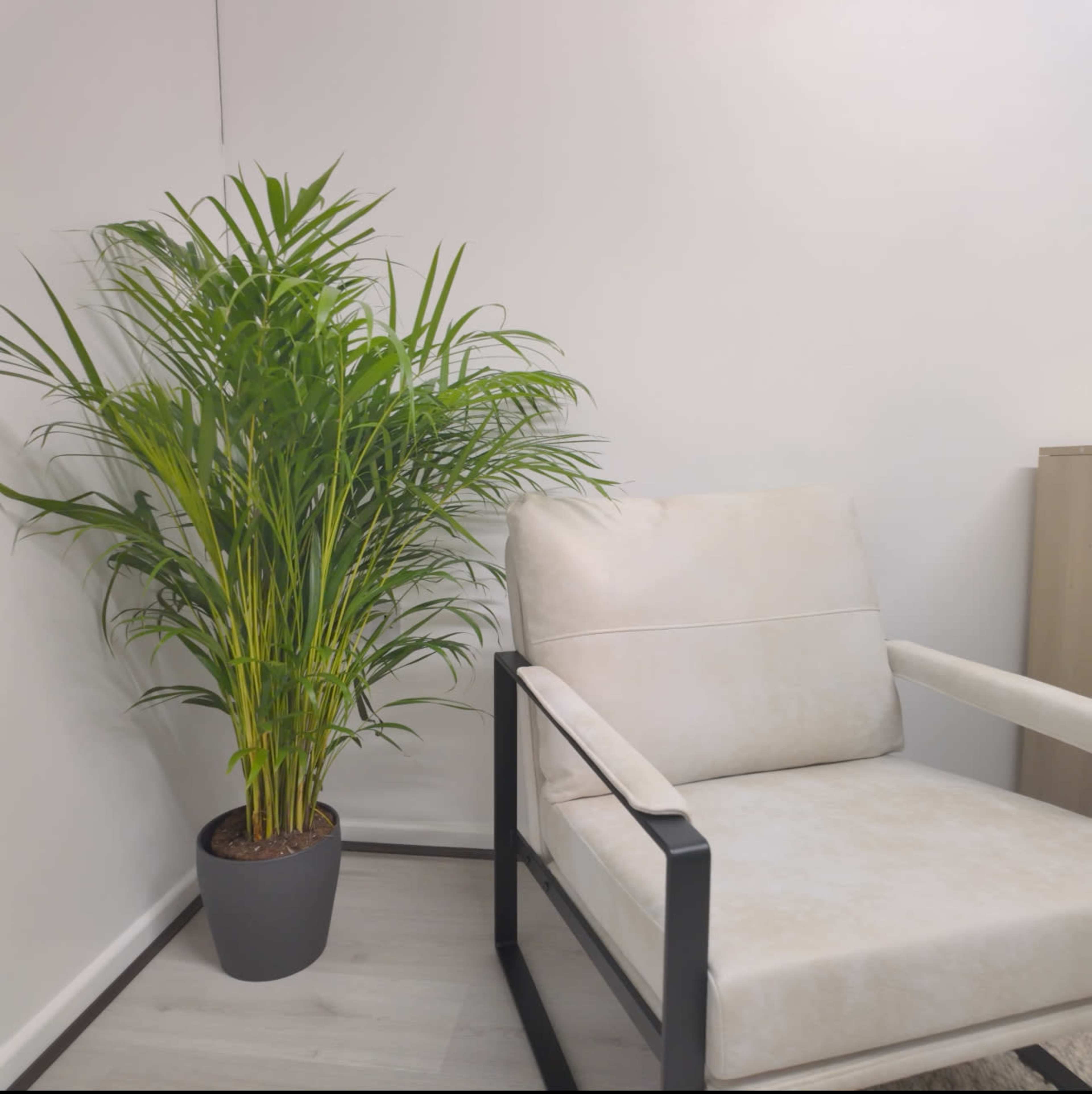 TheArkive | Homely content space, London | Production | Peerspace